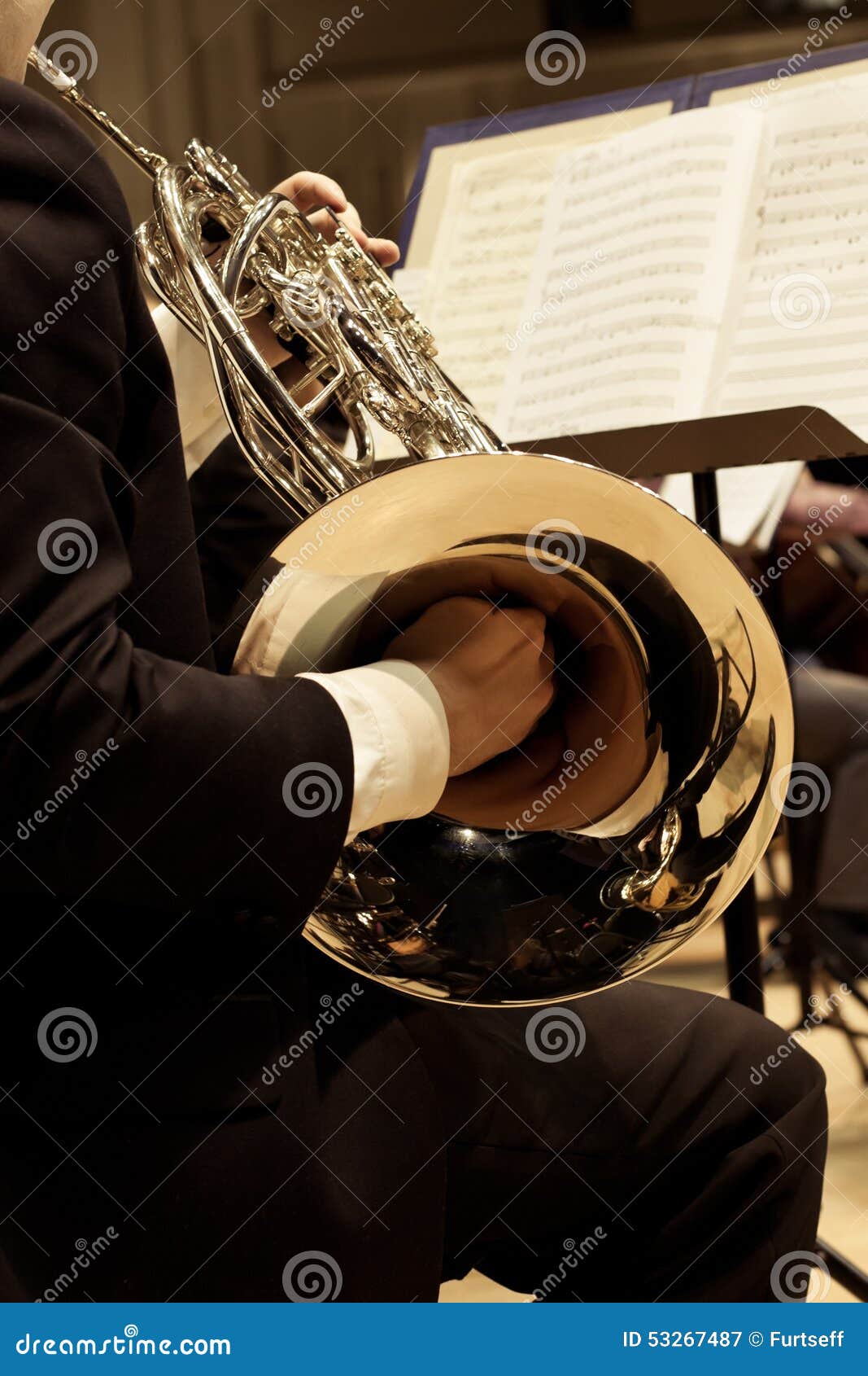 French Horn in the Hands of the Musician Stock Image - Image of ...