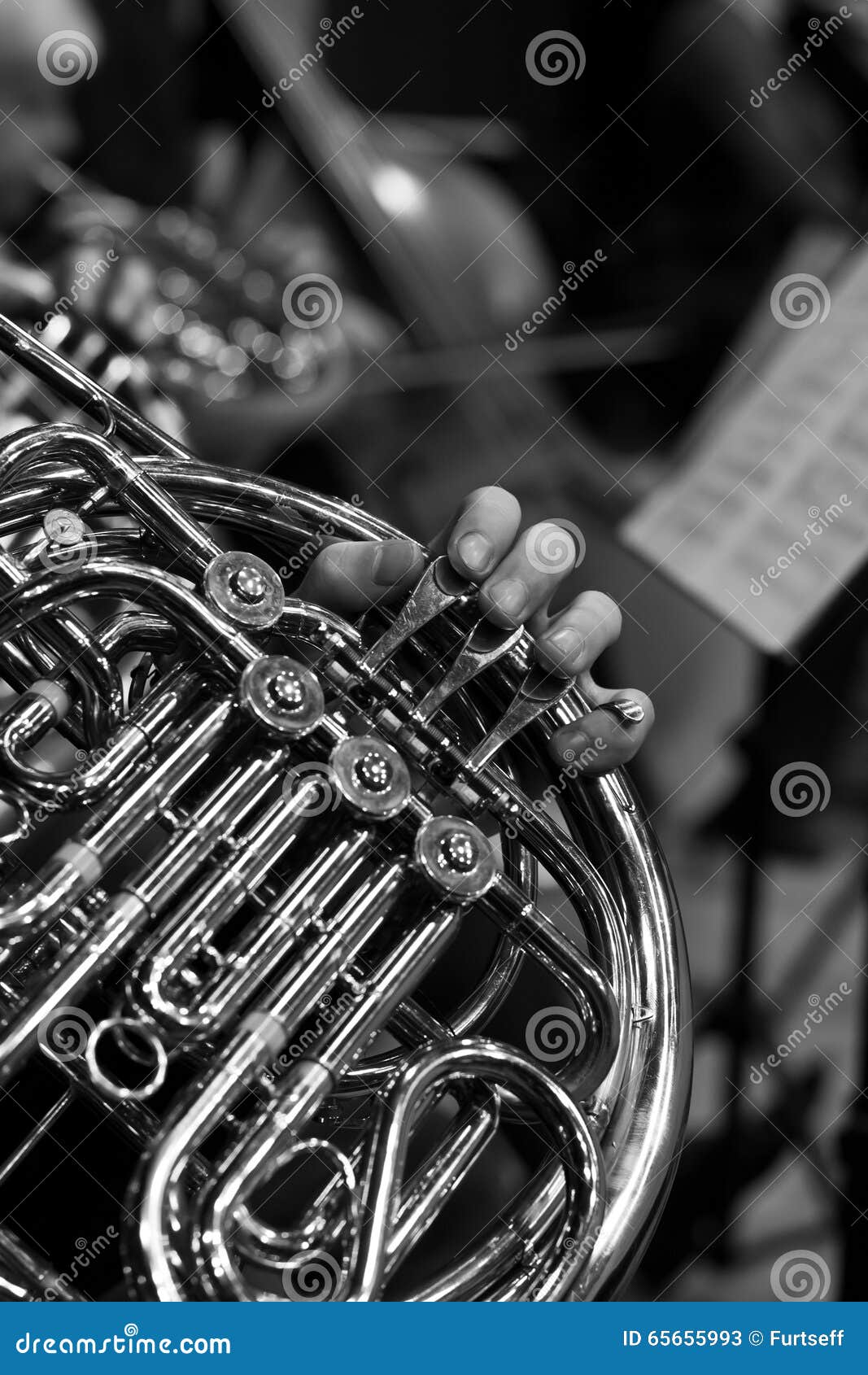 French Horn in the Hands of a Musician Stock Image - Image of hand ...