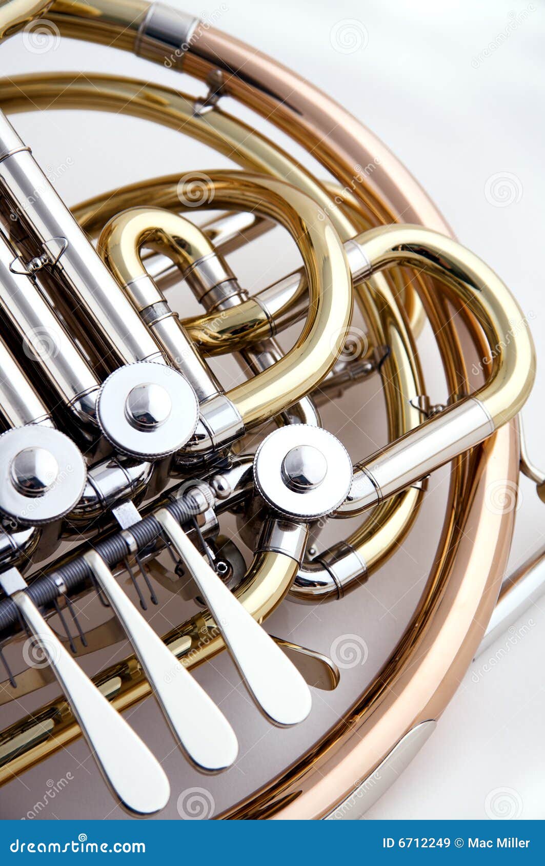 French Horn Isolated On White Stock Image - Image of skill, isolated ...