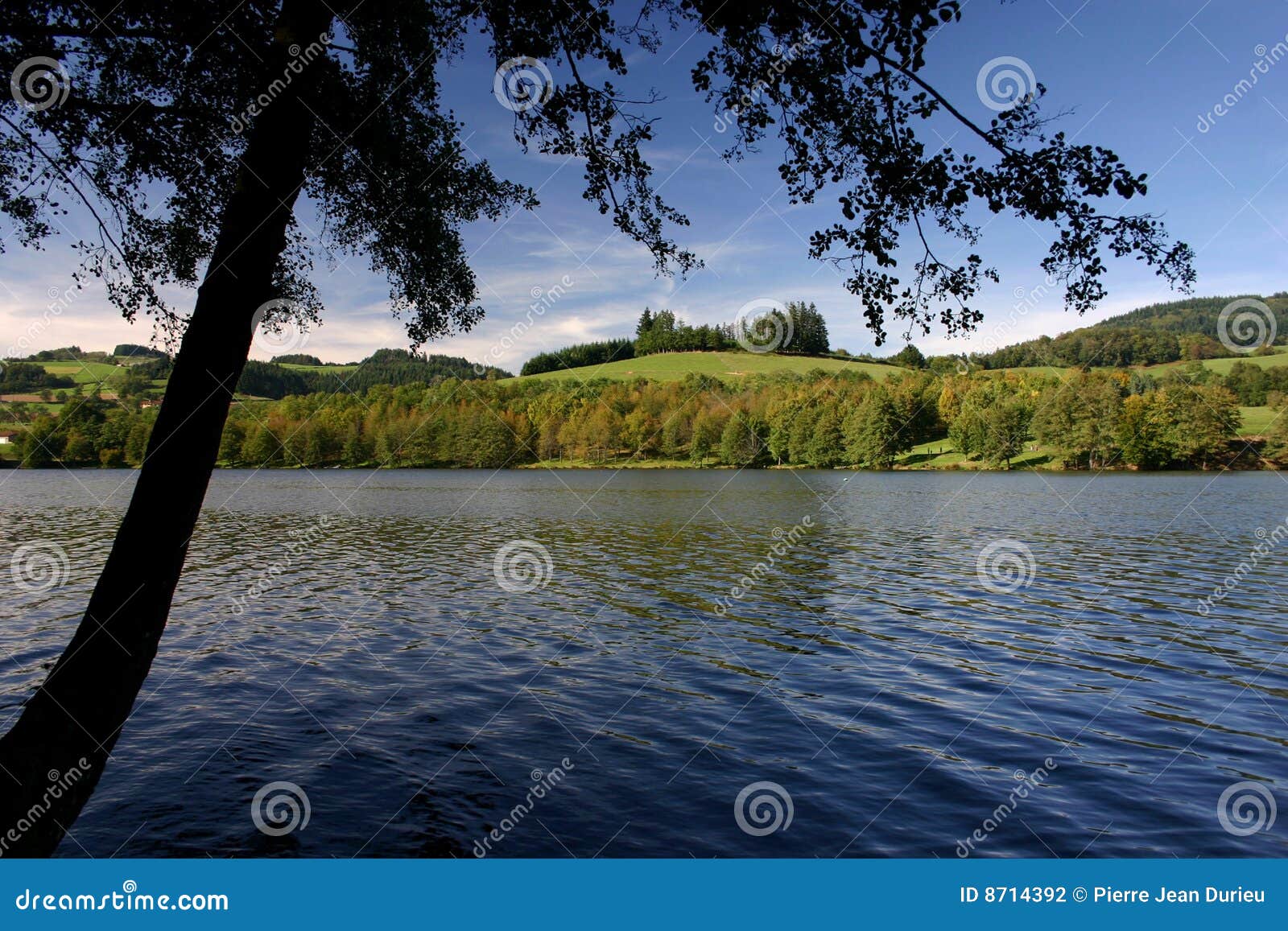 French Lake (lac Des Sapins) Stock Photo - Image of beaujolais, tree ...