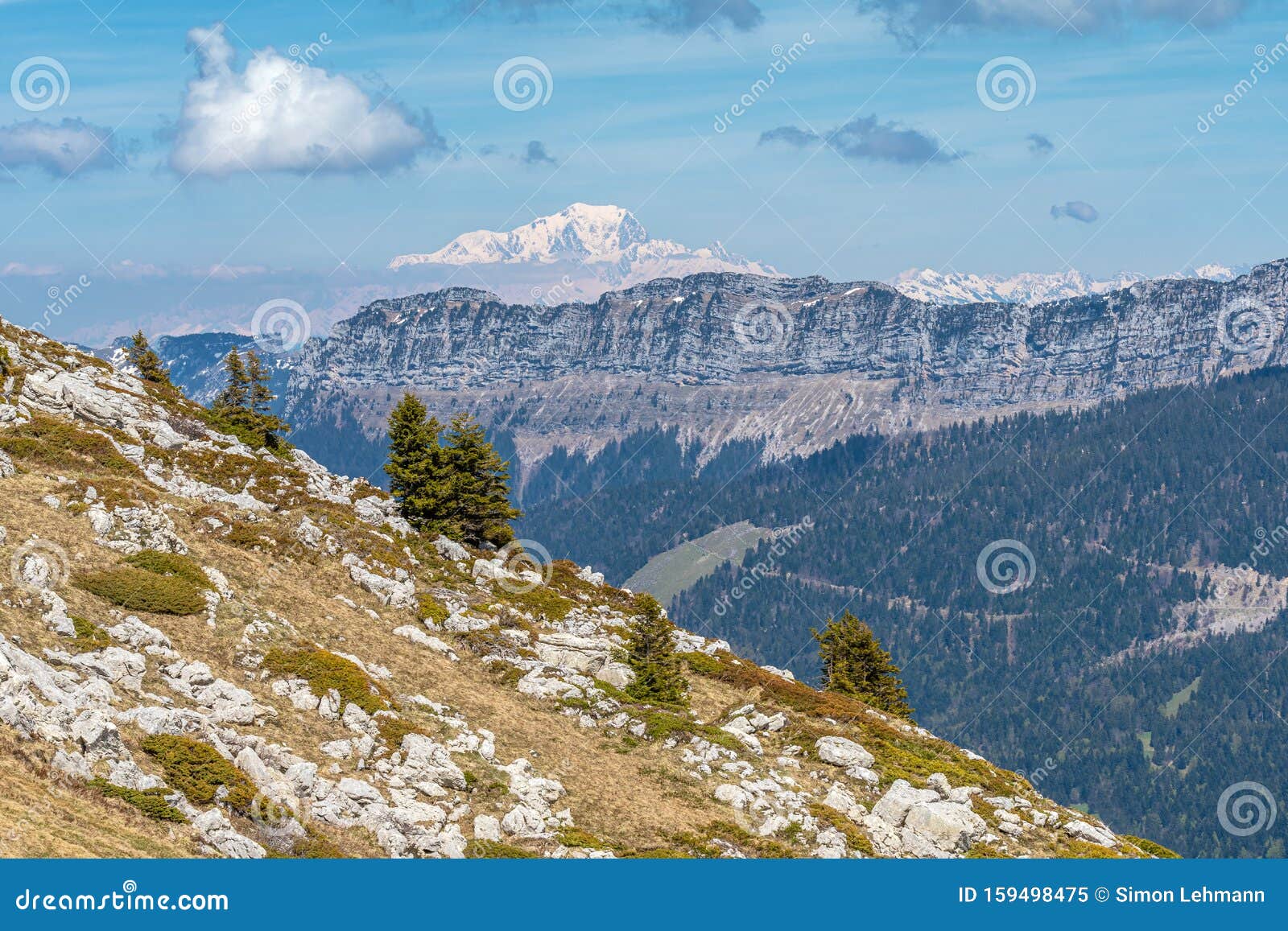 French Landscape - Chartreuse Stock Image - Image of french, beautiful ...