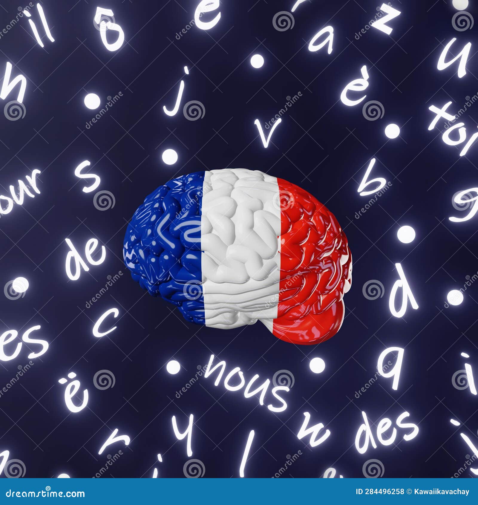 French Learning Foreign Language Fluency Improvement Human Brain Glowing Letters Articles Words ...