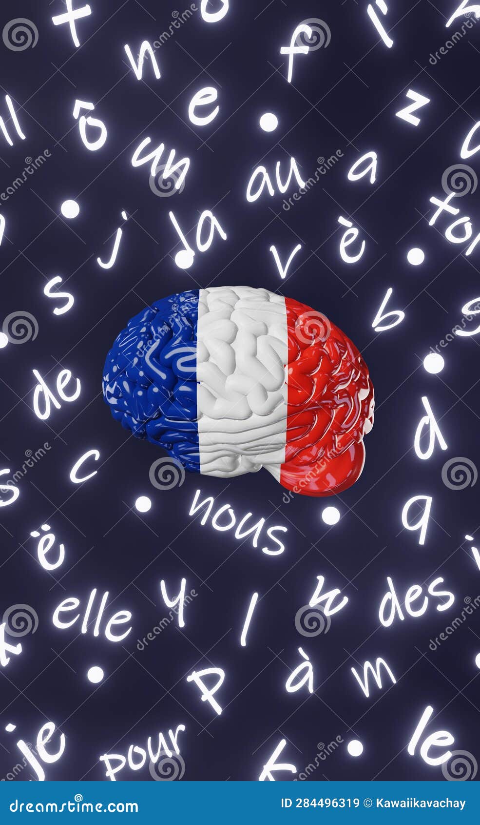 French Learning Foreign Language Fluency Improvement Human Brain ...