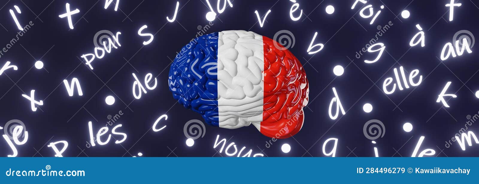 French Learning Foreign Language Fluency Improvement Human Brain ...