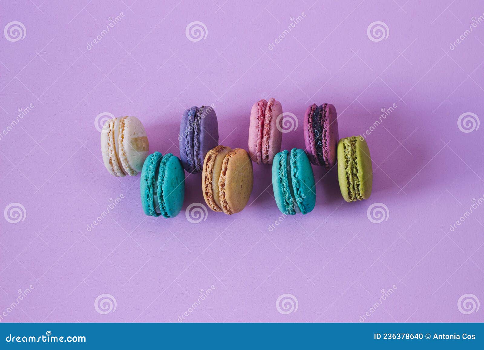 French Macaroons of Assorted Colors in a Row Isolated on a Pink ...