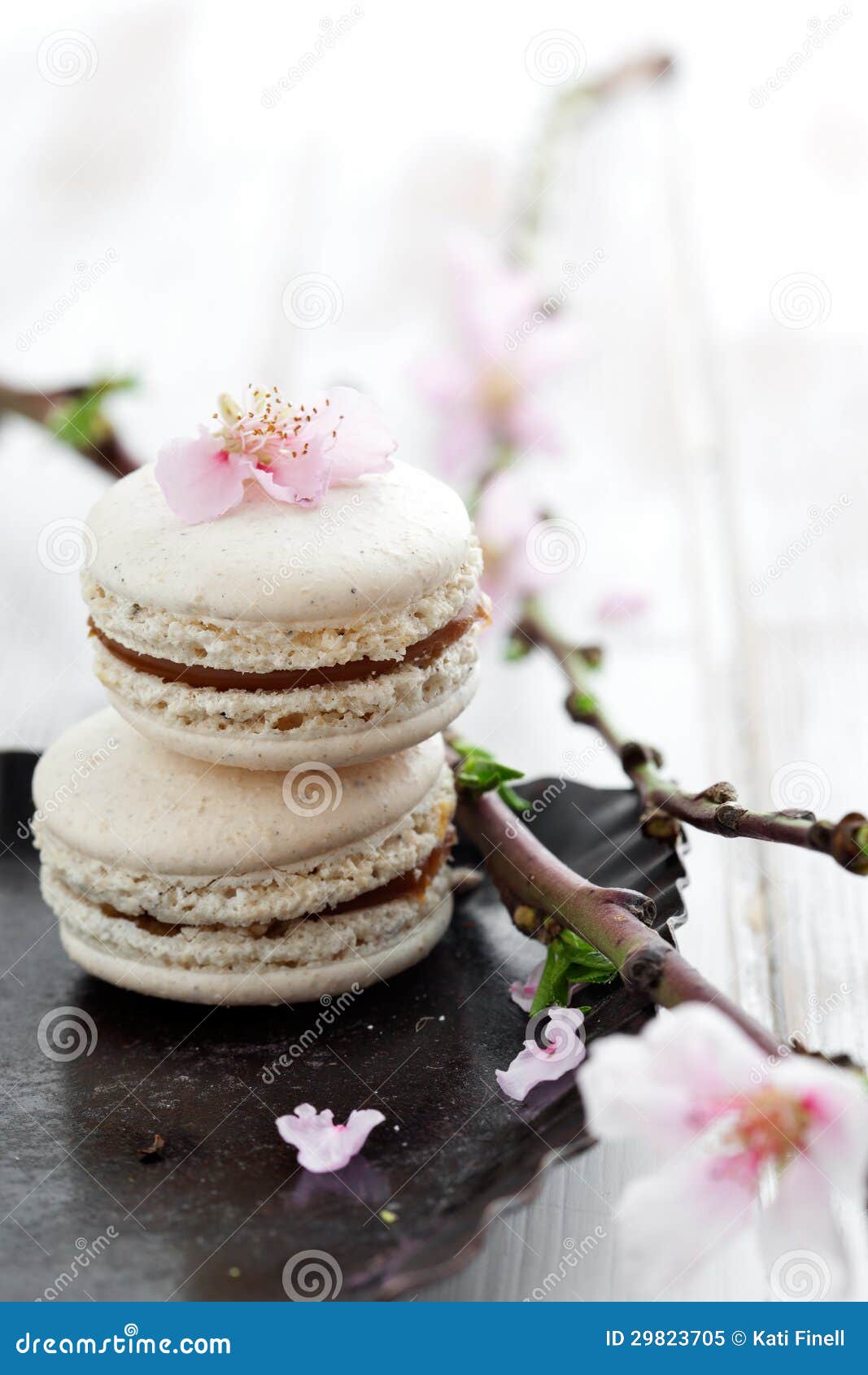 French macaroons stock image. Image of baked, assortment - 29823705