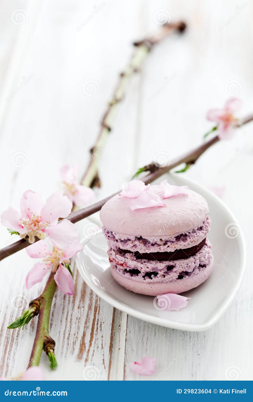 French macaroons stock photo. Image of homemade, elegant - 29823604