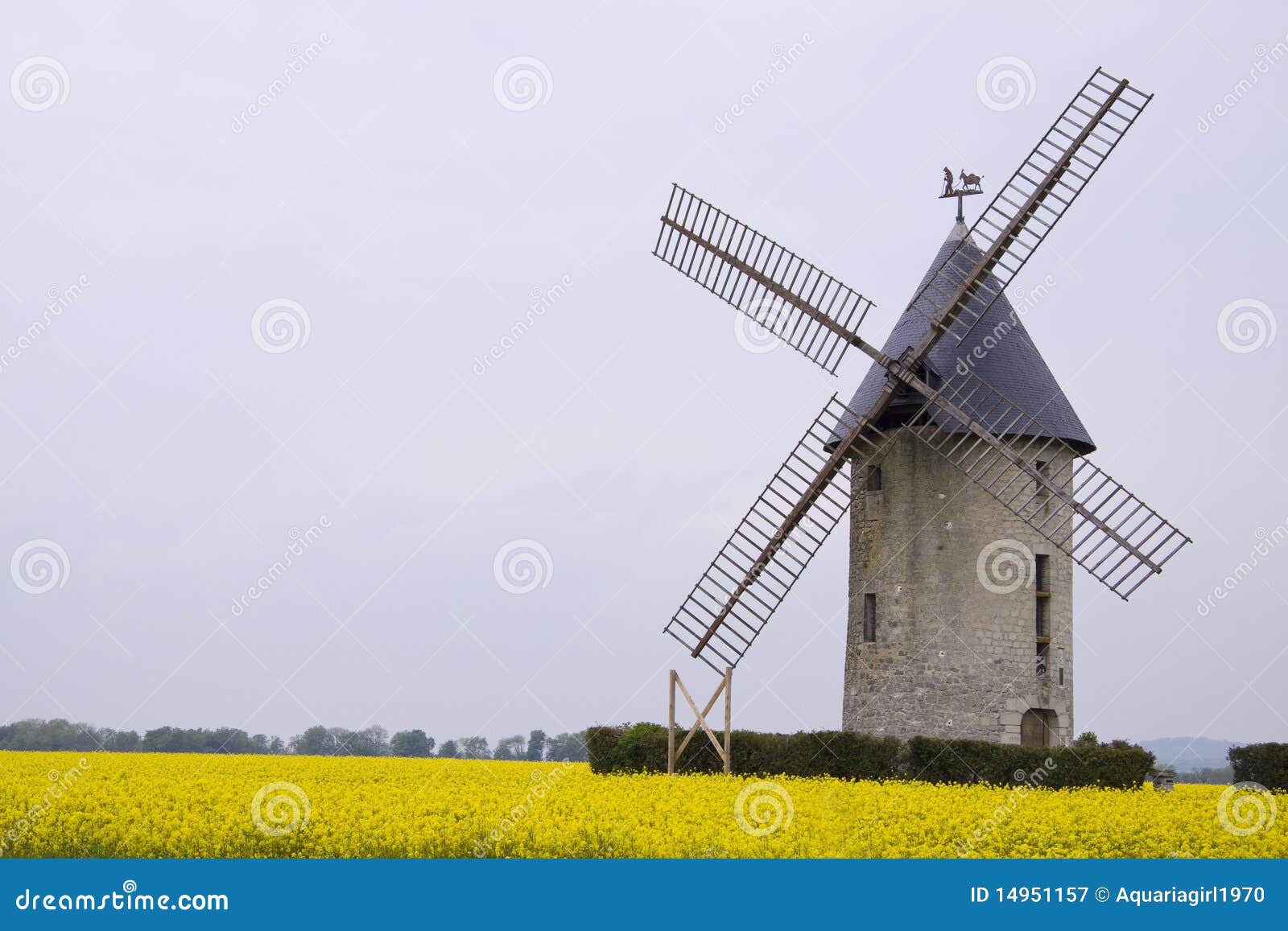 French mill stock image. Image of ancient, grind, historic - 14951157