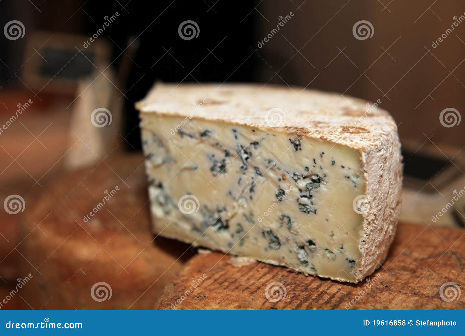 French musty cheese stock photo. Image of round, france - 19616858