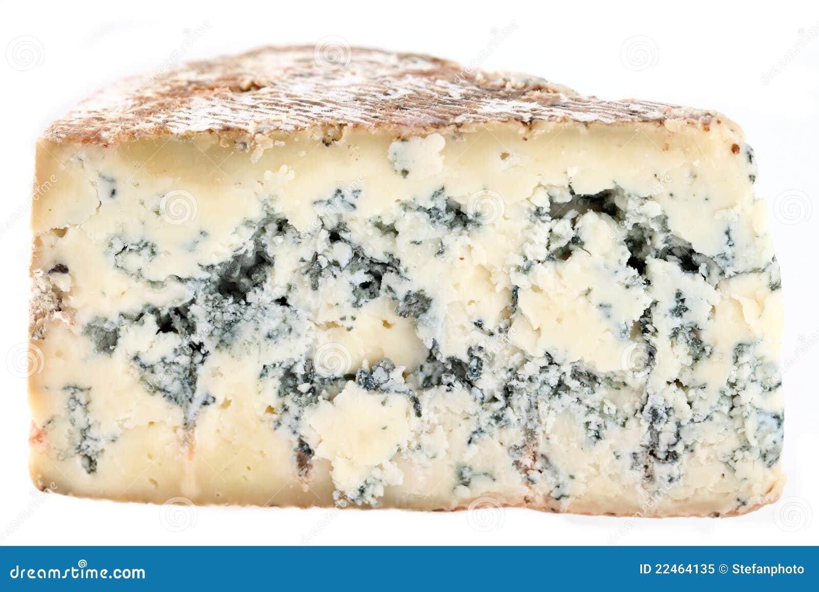 French musty cheese stock image. Image of dairy, french - 22464135