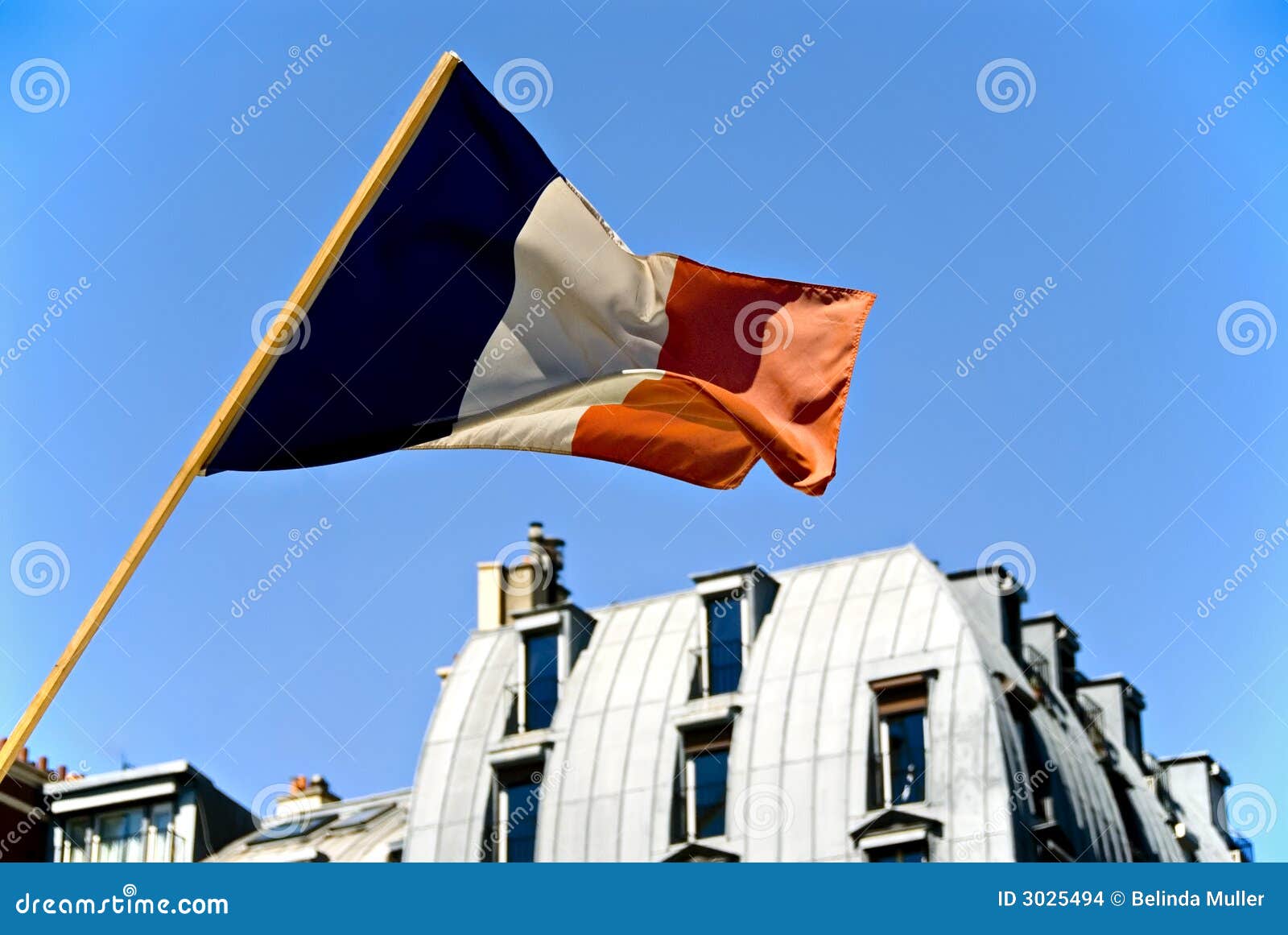 French national flag stock photo. Image of national, stripes - 3025494