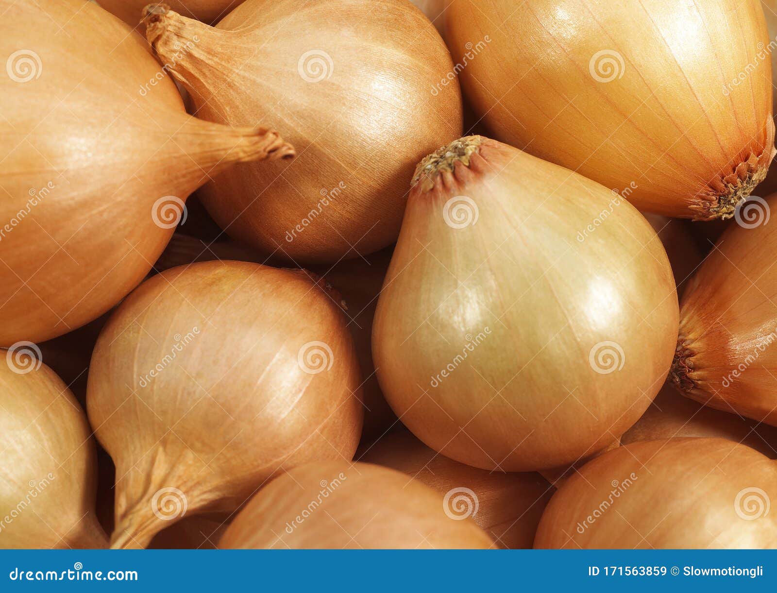 OIGNON GRELOT stock image. Image of garden, food, shot - 171563859