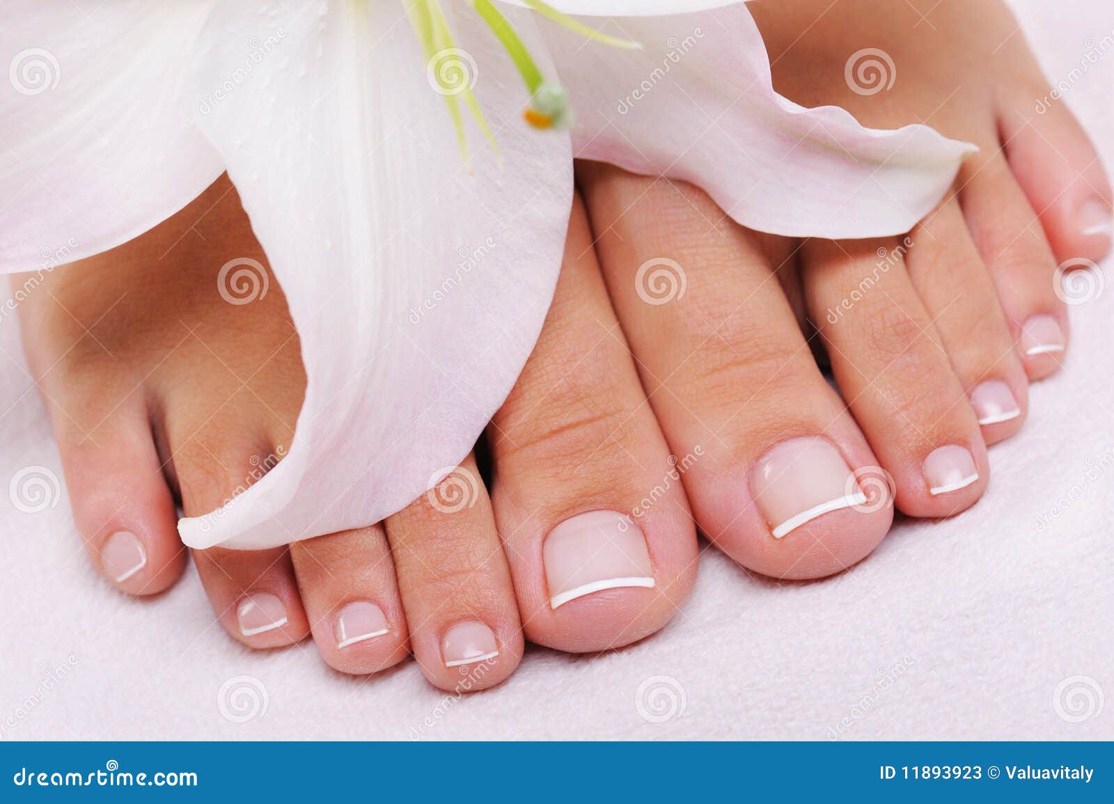 French Pedicure on a Female Feet Stock Image - Image of caucasian ...