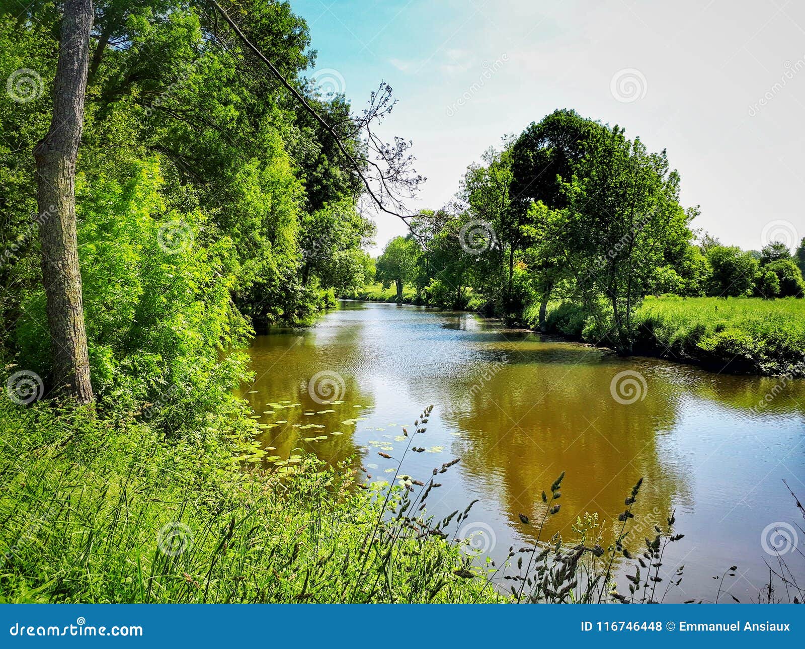 French river stock photo. Image of colors, river, green - 116746448