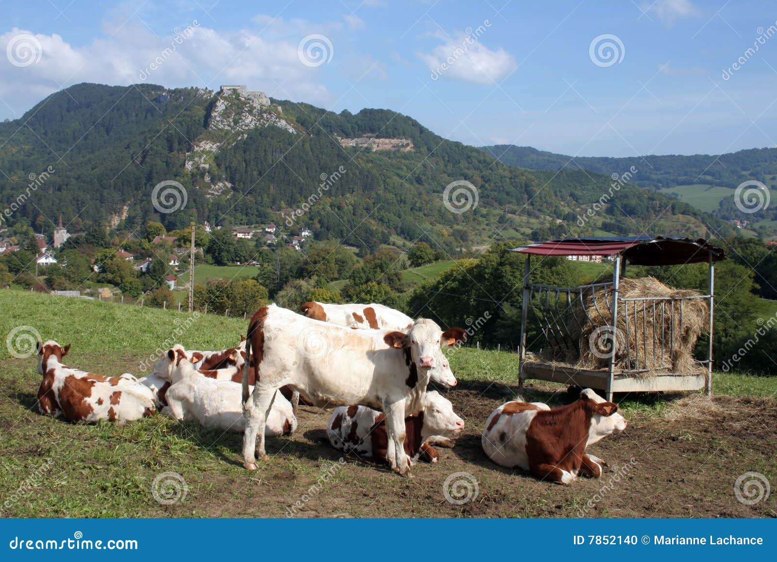 French rural landscape stock photo. Image of moutain, green - 7852140