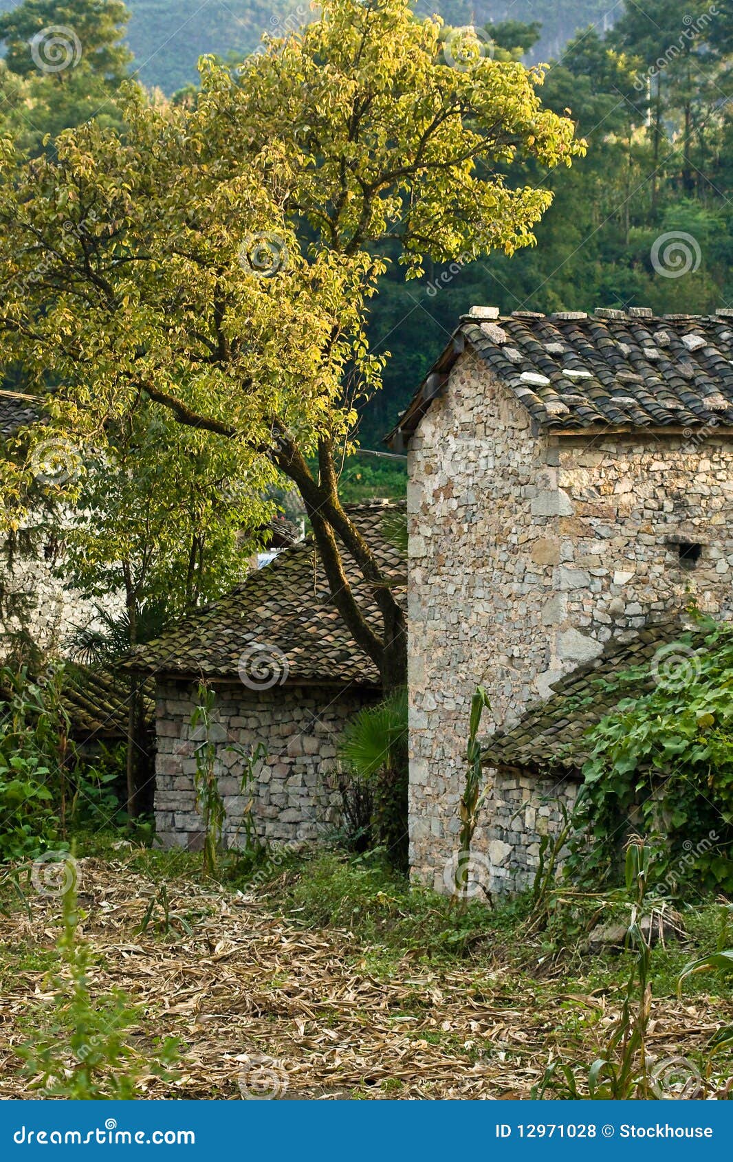 French rural villa stock photo. Image of scenic, nature - 12971028