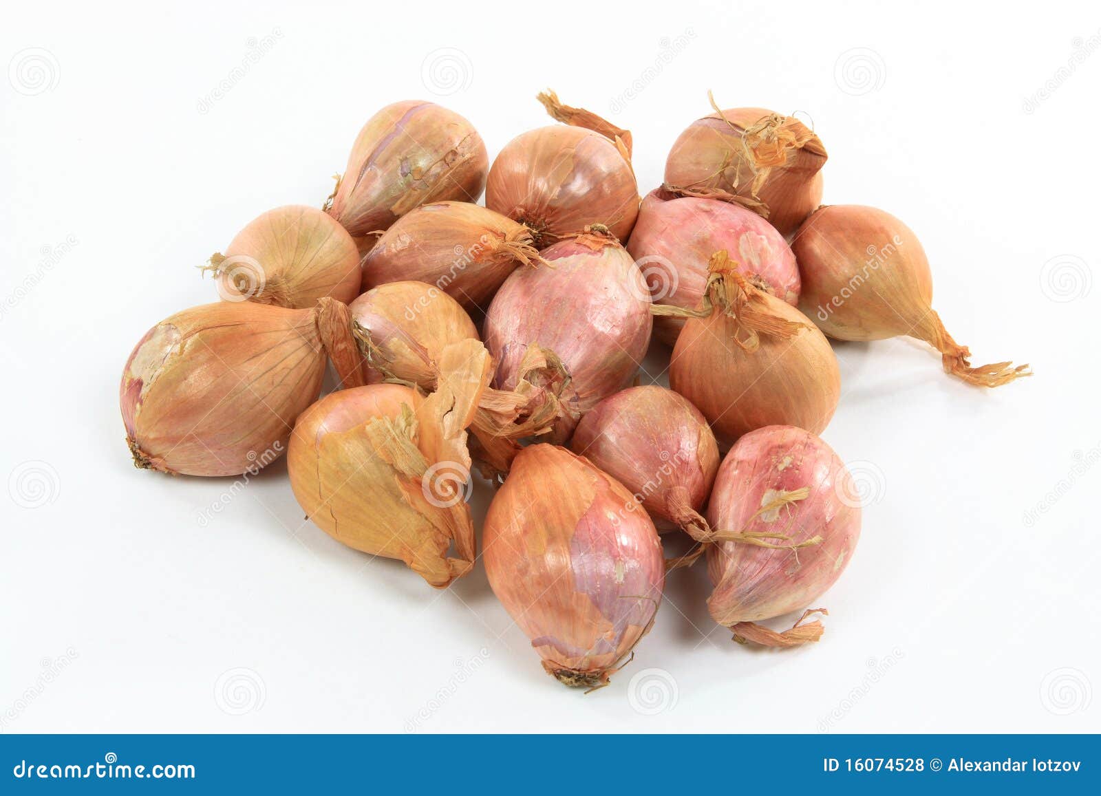 French Shallots. stock photo. Image of nutritious, healthy - 16074528