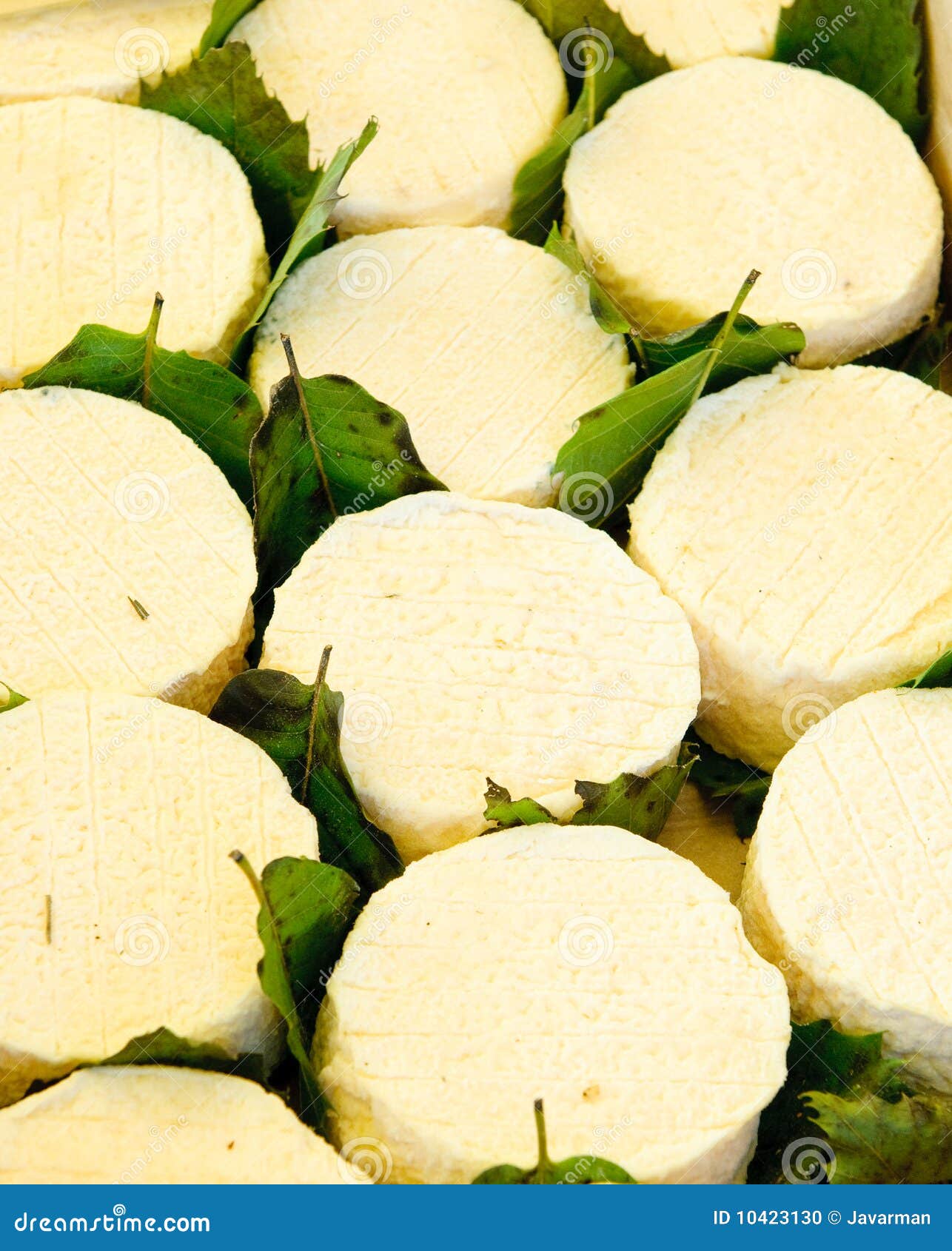 Soft Cheese Langres, French Cow Milk. Creamy And Crumbly Orange Colored ...