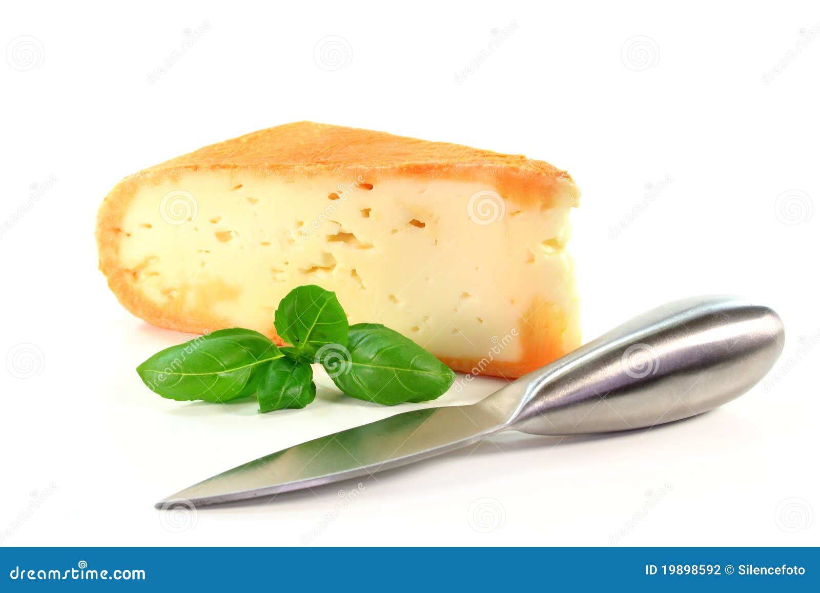 French soft cheese stock photo. Image of varieties, nutrition - 19898592