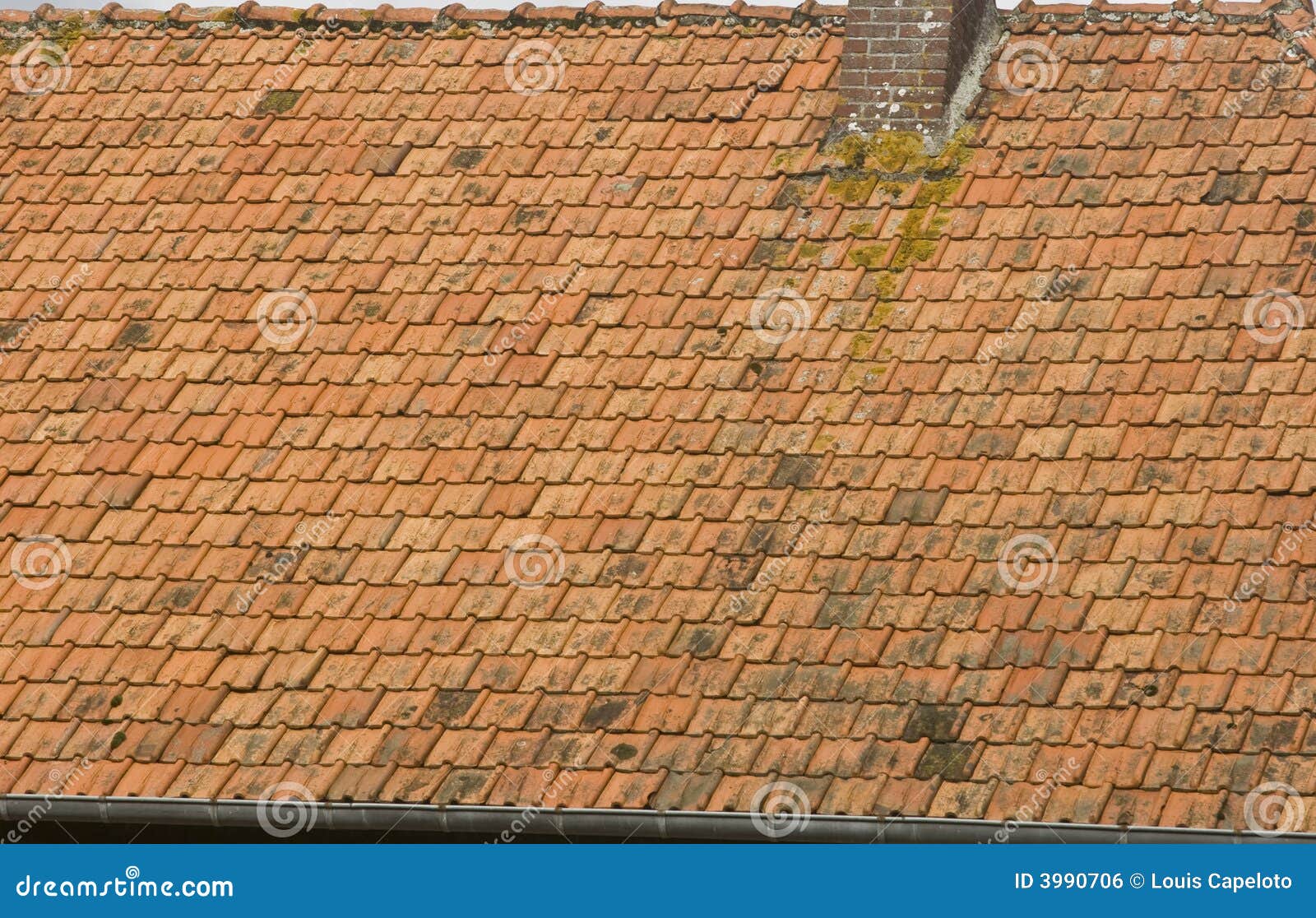 French Tile roof stock photo. Image of european, landscape - 3990706