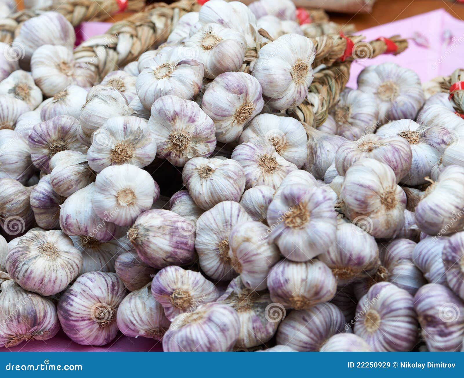 French violet garlic stock image. Image of food, vegetable - 22250929