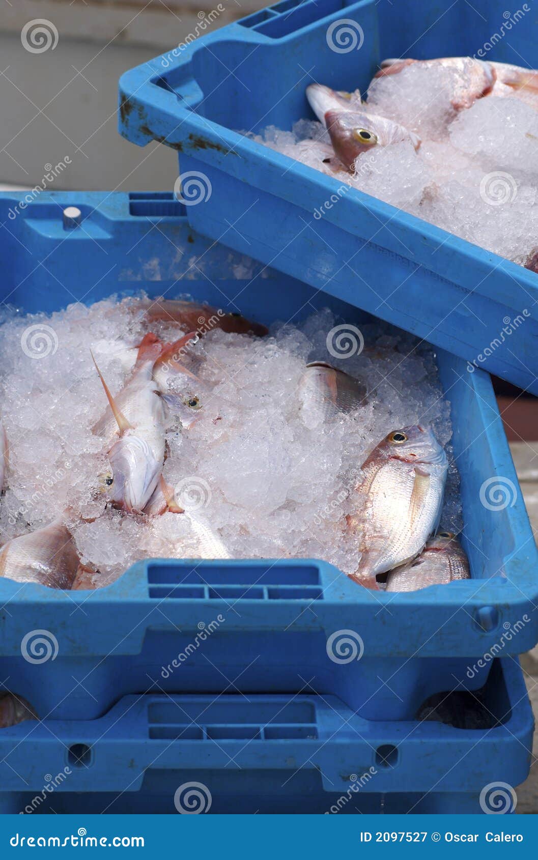 1,305 Ice Containers Stock Photos - Free & Royalty-Free Stock Photos ...