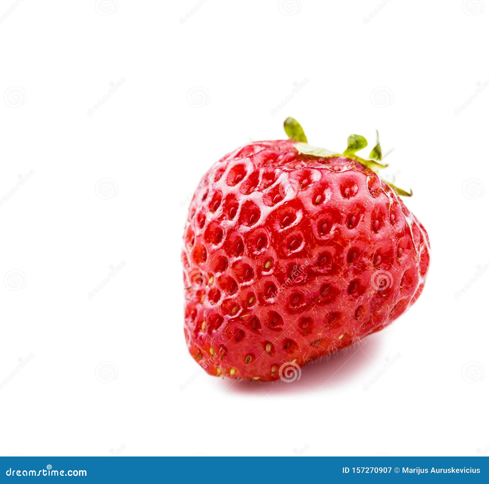 Fresa con fondo blanco imagen de archivo. Imagen de macro - 157270907