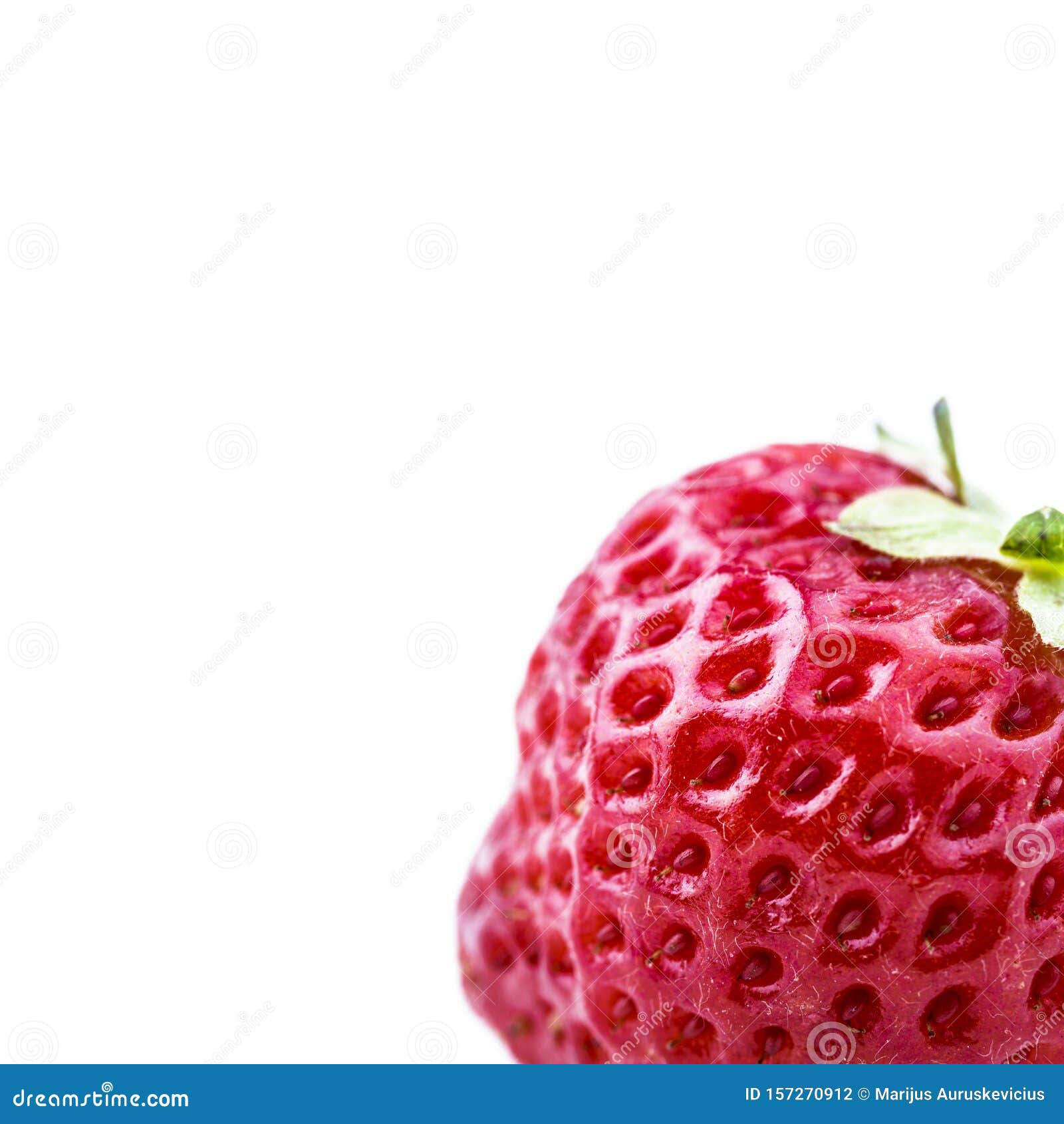 Fresa con fondo blanco foto de archivo. Imagen de aislado - 157270912