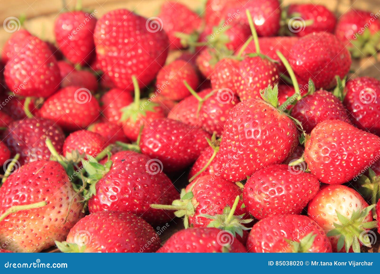 Fresa de la fruta foto de archivo. Imagen de fresa, cierre - 85038020