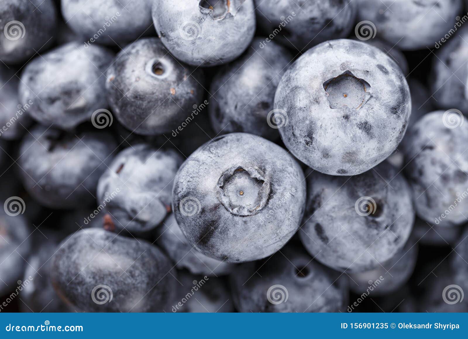 Fresas Azules Maduras Como Fondo Imagen de archivo - Imagen de fruta ...