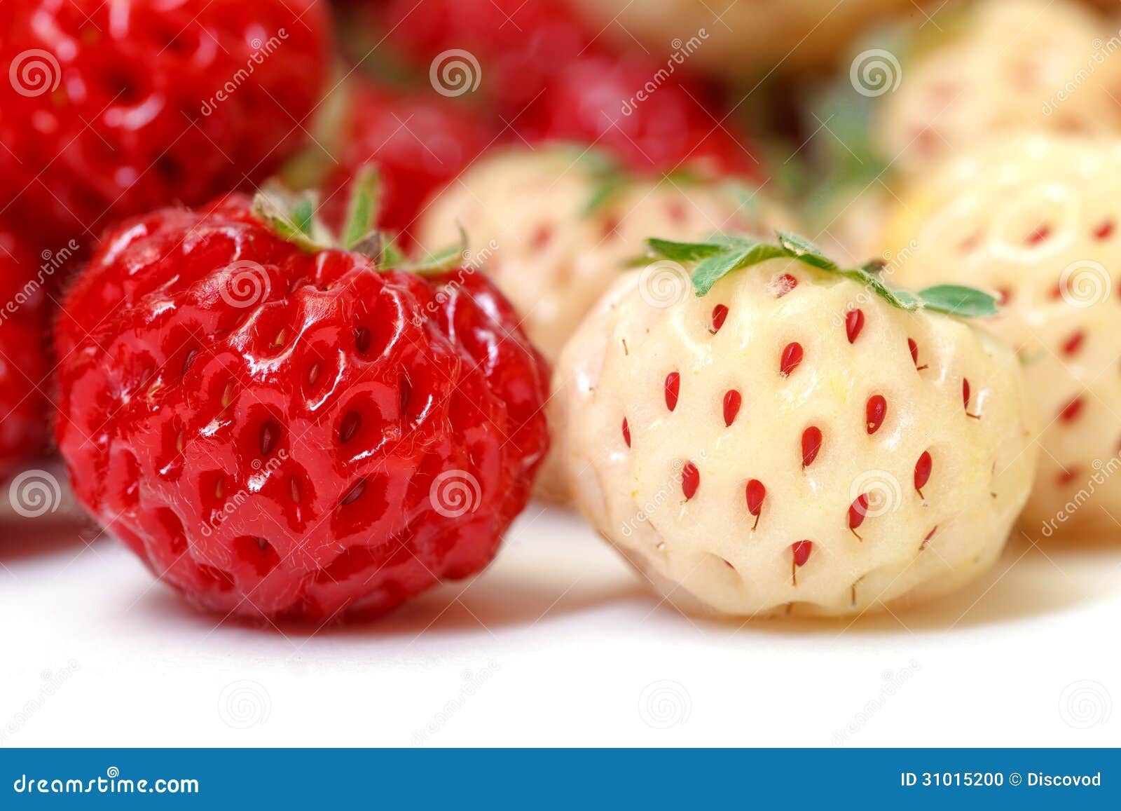 Fresas Blancas Y Rojas Maduras Foto de archivo - Imagen de rojo, fresa ...
