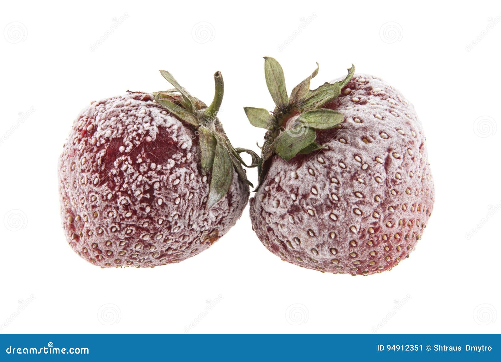 Fresas Congeladas Aisladas En Blanco Imagen de archivo - Imagen de baya ...