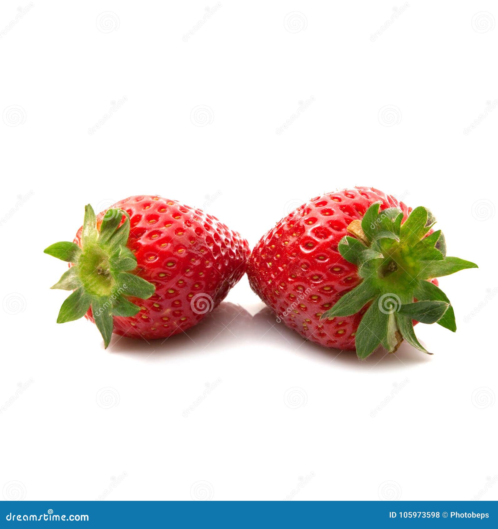 Fresas en el fondo blanco foto de archivo. Imagen de cubo - 105973598