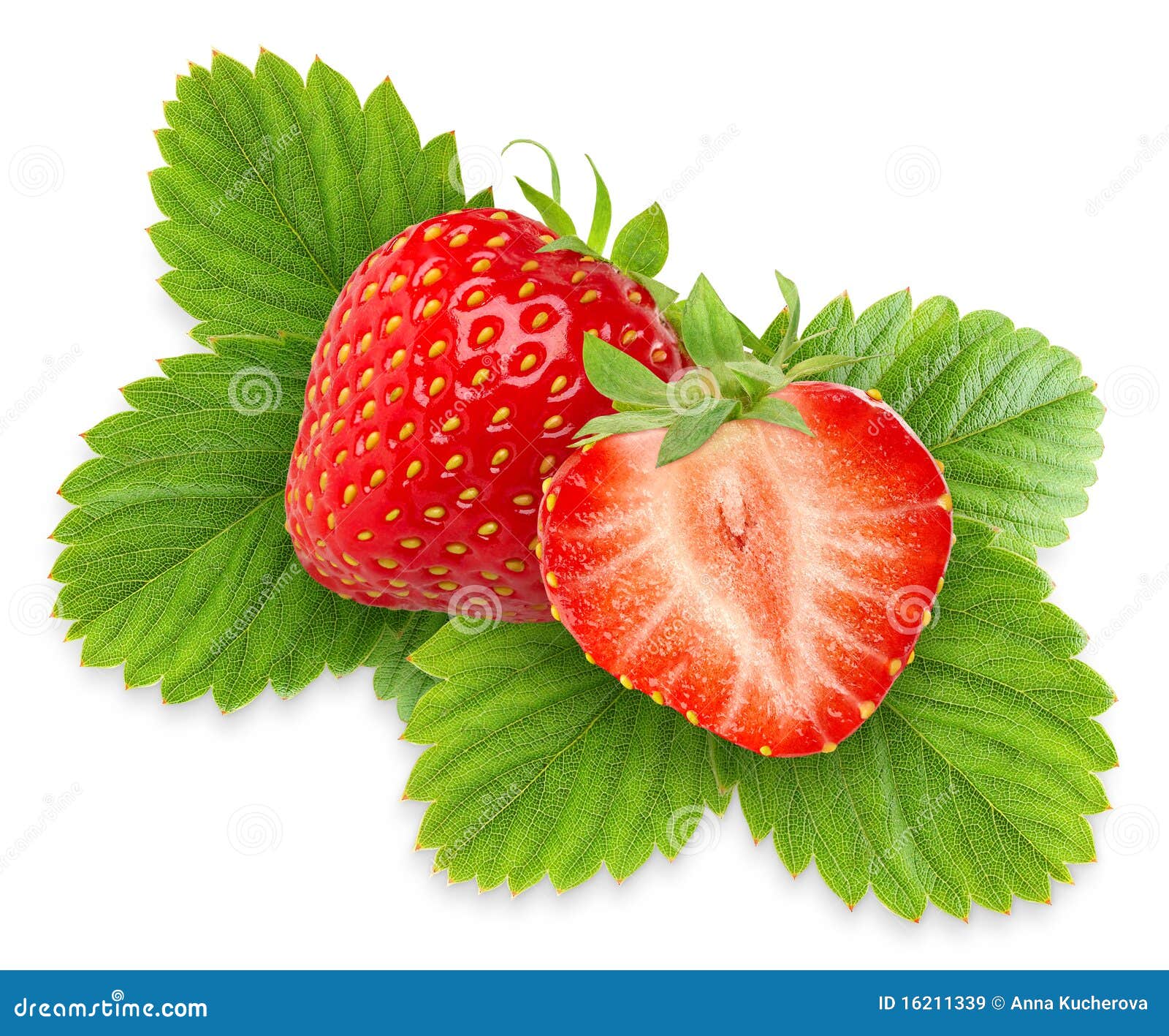 Fresas Hermosas Imágenes de archivo libres de regalías - Imagen: 16211339