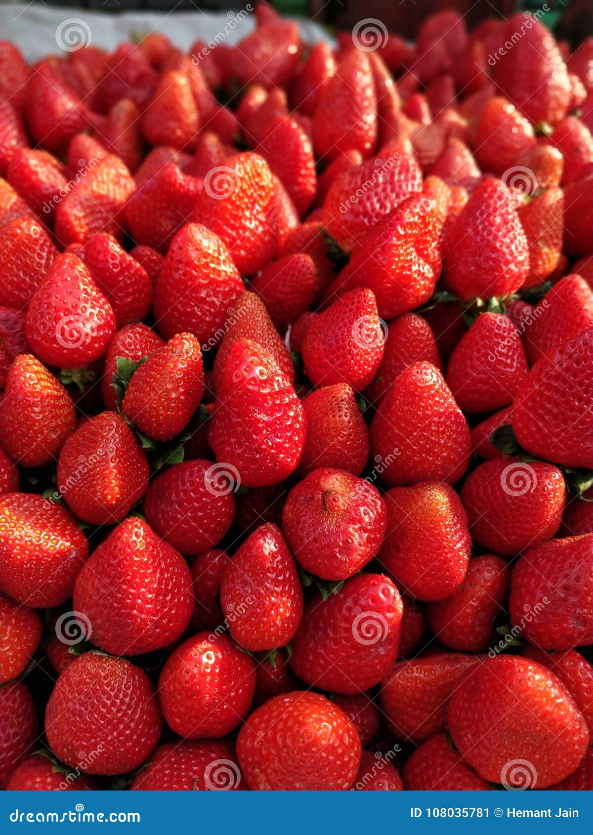Fresas rojas frescas imagen de archivo. Imagen de fresco - 108035781