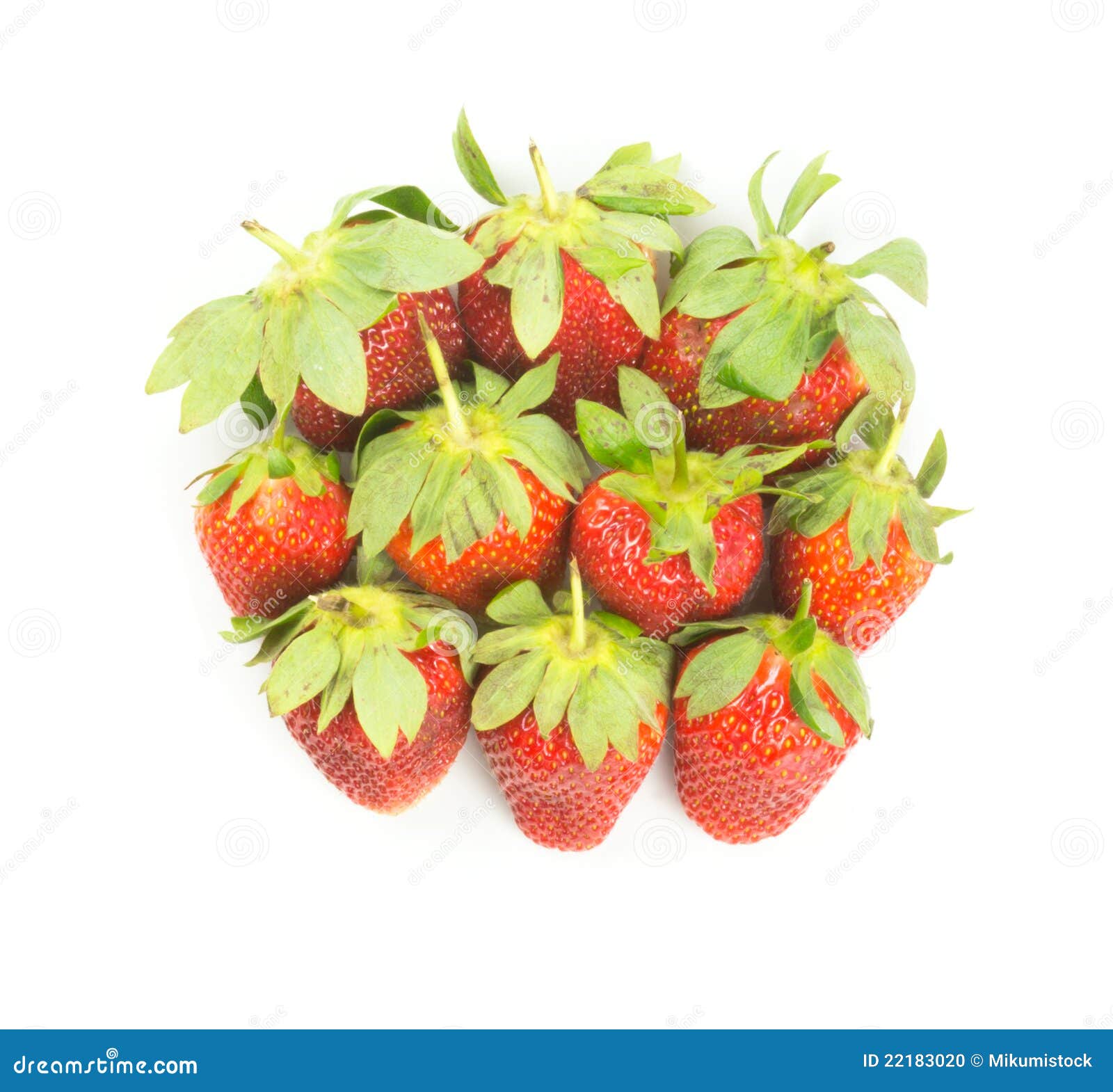 Fresas rojas frescas foto de archivo. Imagen de sano - 22183020 Fresas rojas frescas foto de archivo. Imagen de sano - 22183020