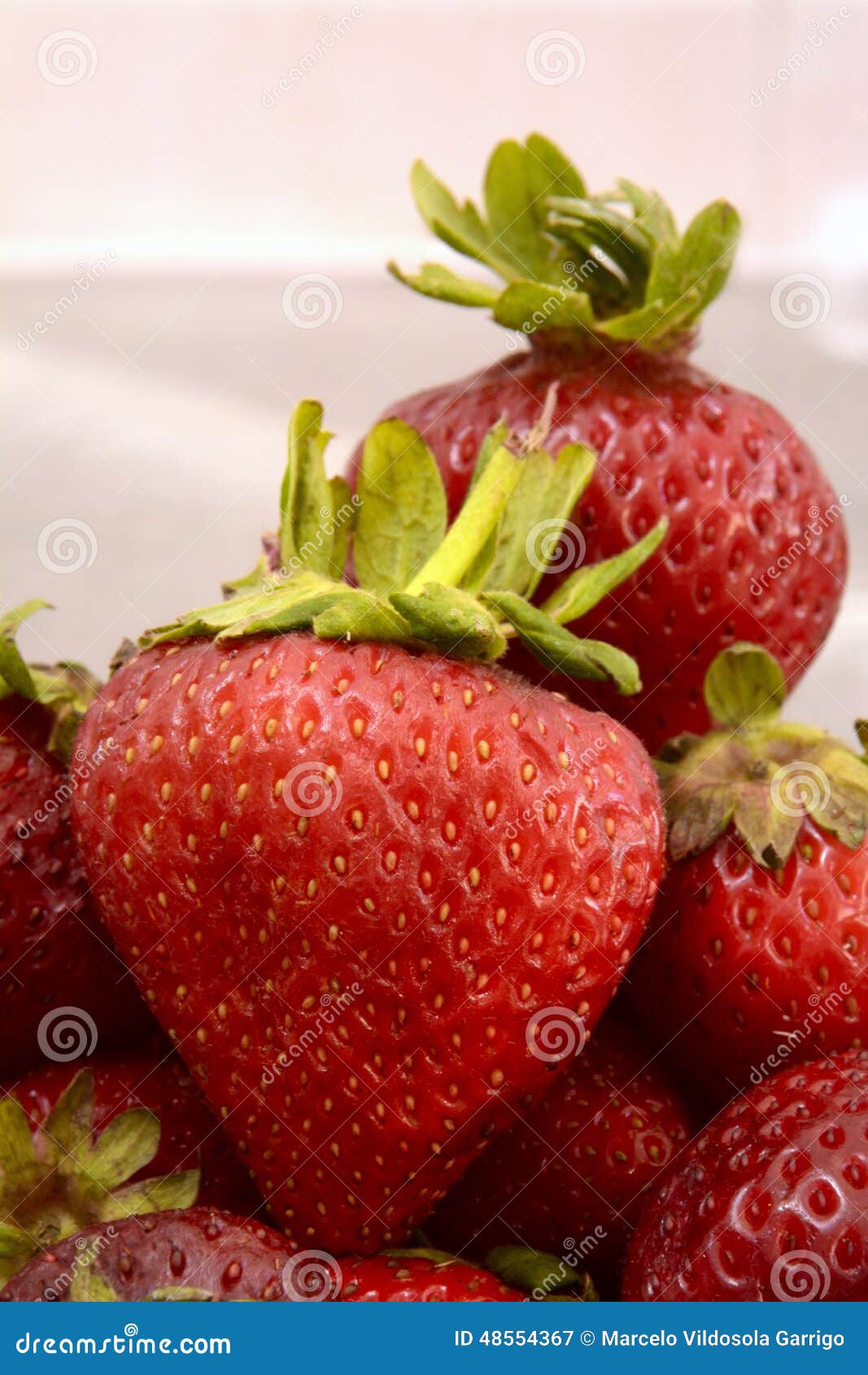 Fresas rojas grandes imagen de archivo. Imagen de fruta - 48554367