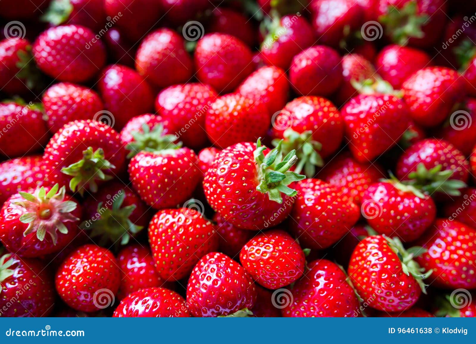 Fresas rojas maduras foto de archivo. Imagen de verano - 96461638