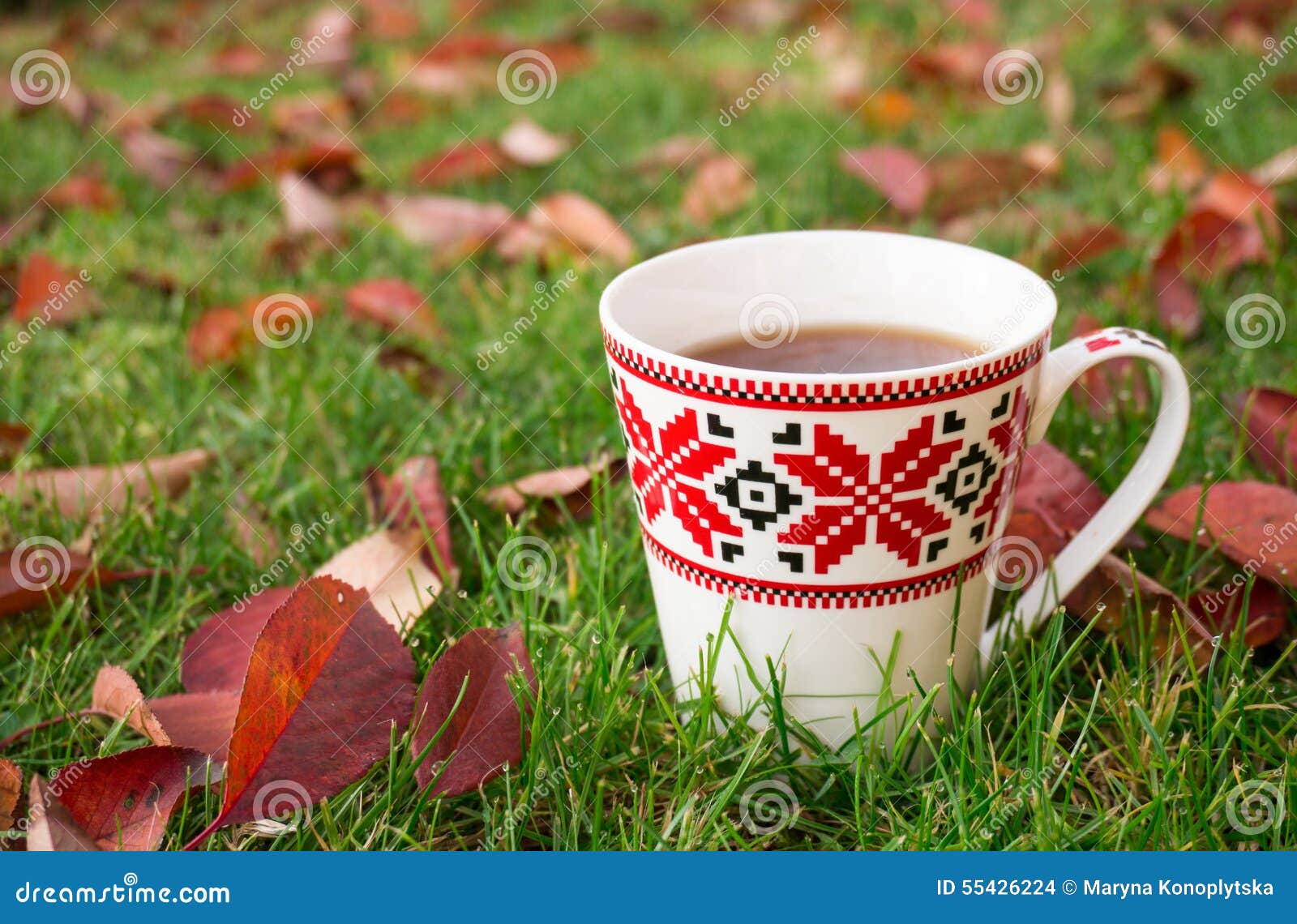 Freschezza di autunno fotografia stock. Immagine di freschezza - 55426224