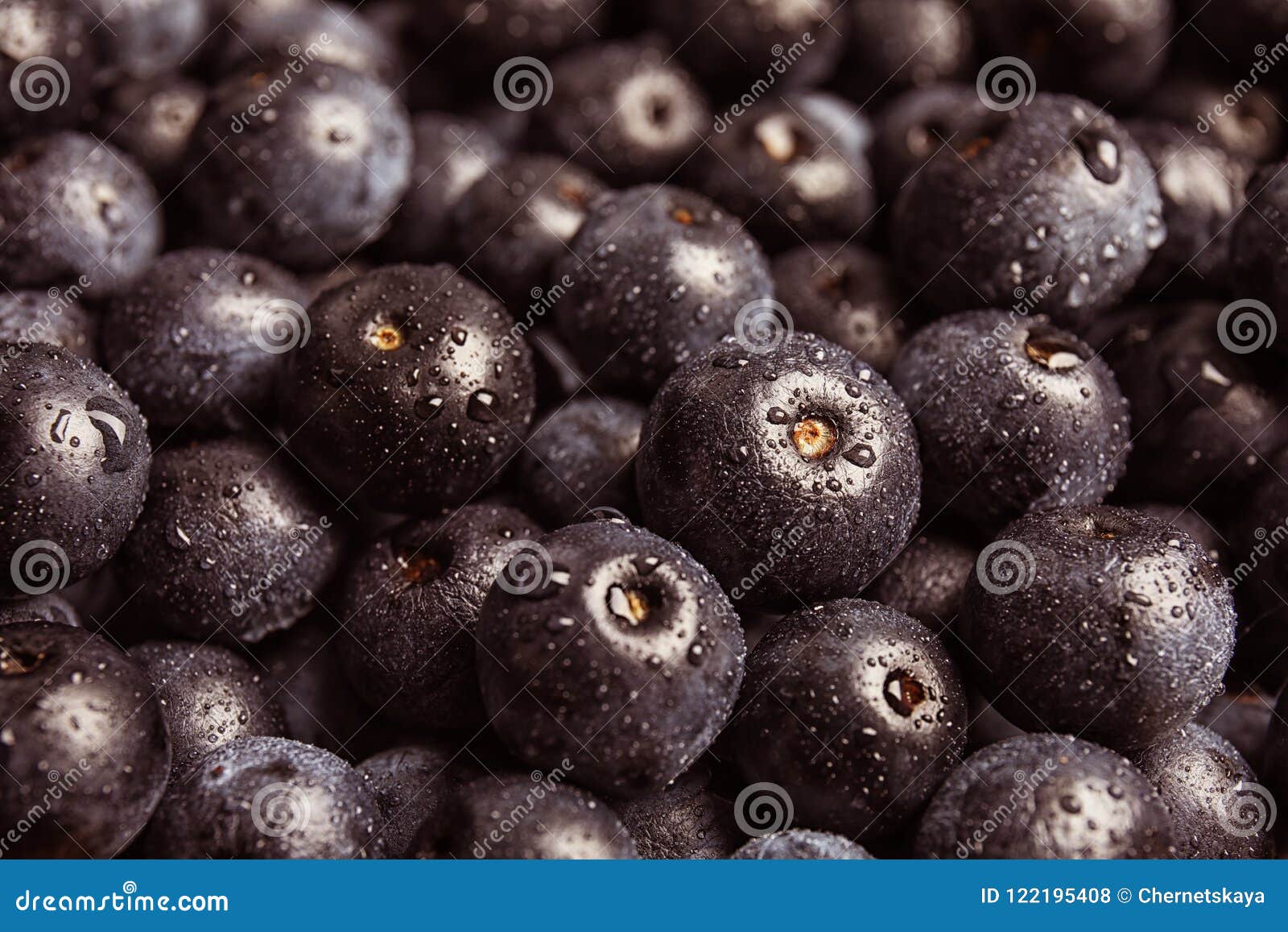 Fresh acai berries stock photo. Image of organic, antioxidant - 122195408