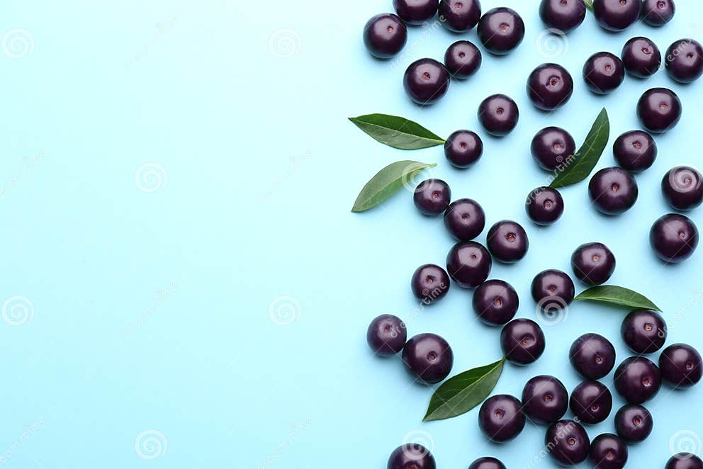 Fresh Acai Berries on Blue Background, Flat Lay. Space for Text Stock ...