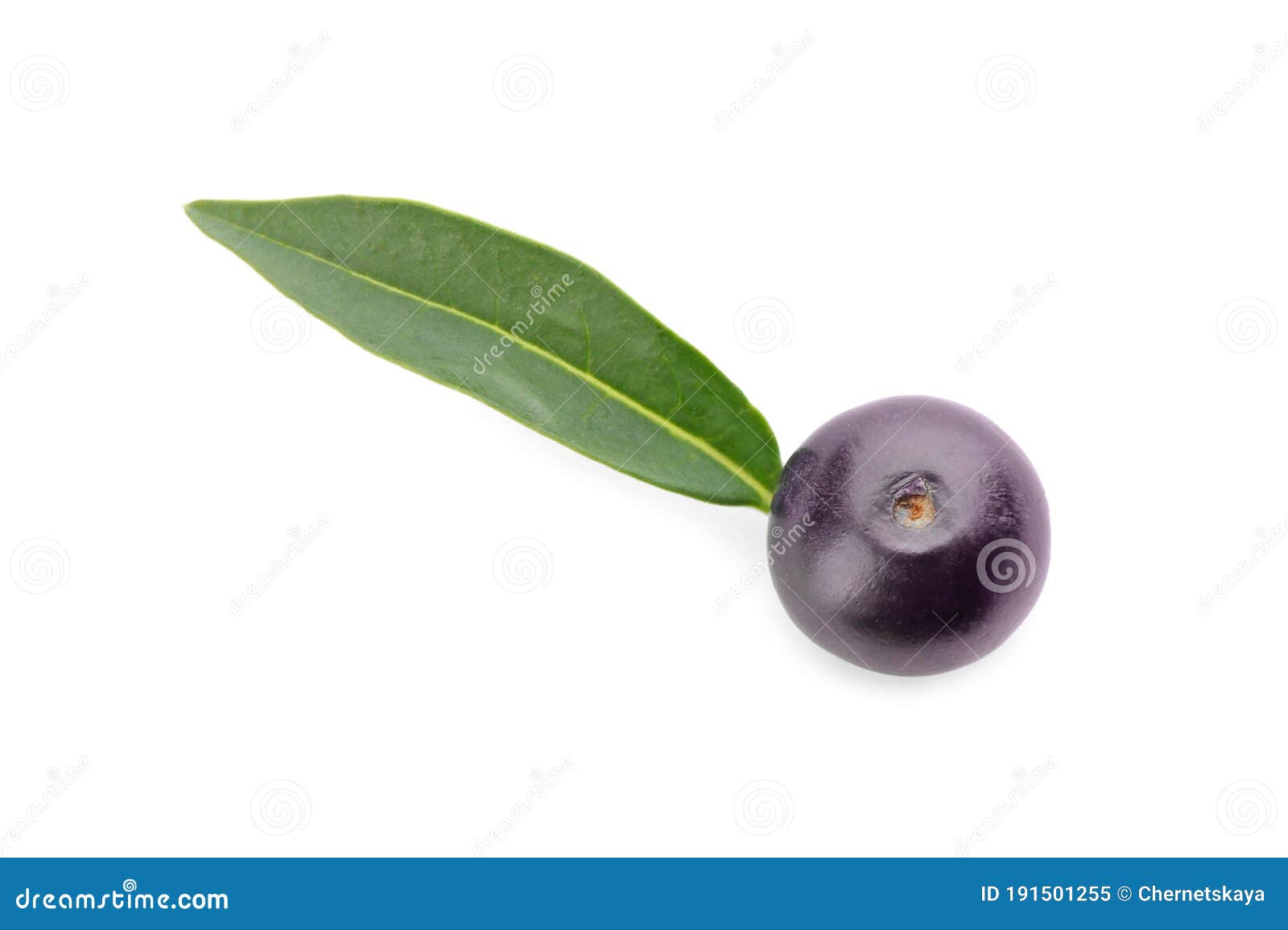 Fresh Acai Berry with Leaf Isolated on White Stock Image - Image of ...
