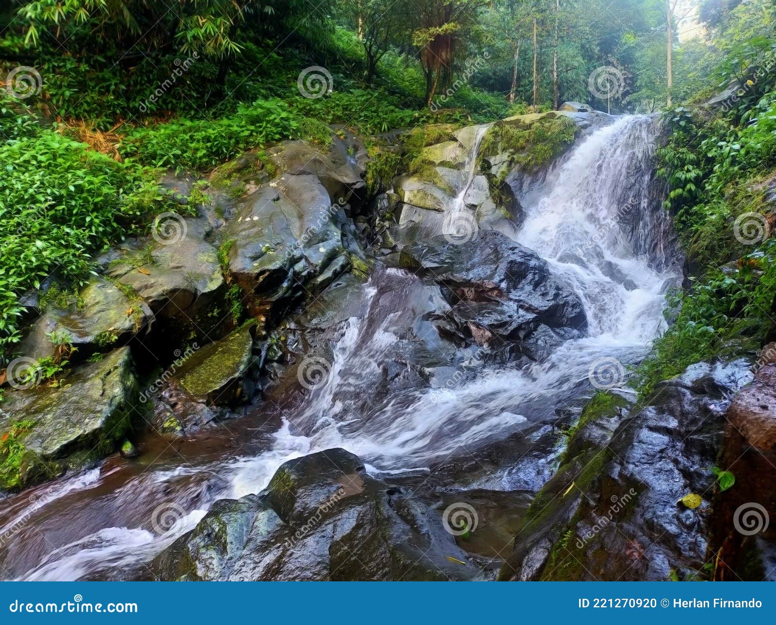 A Rocky Ground Waterfall in the Forest Stock Photo - Image of ravine ...