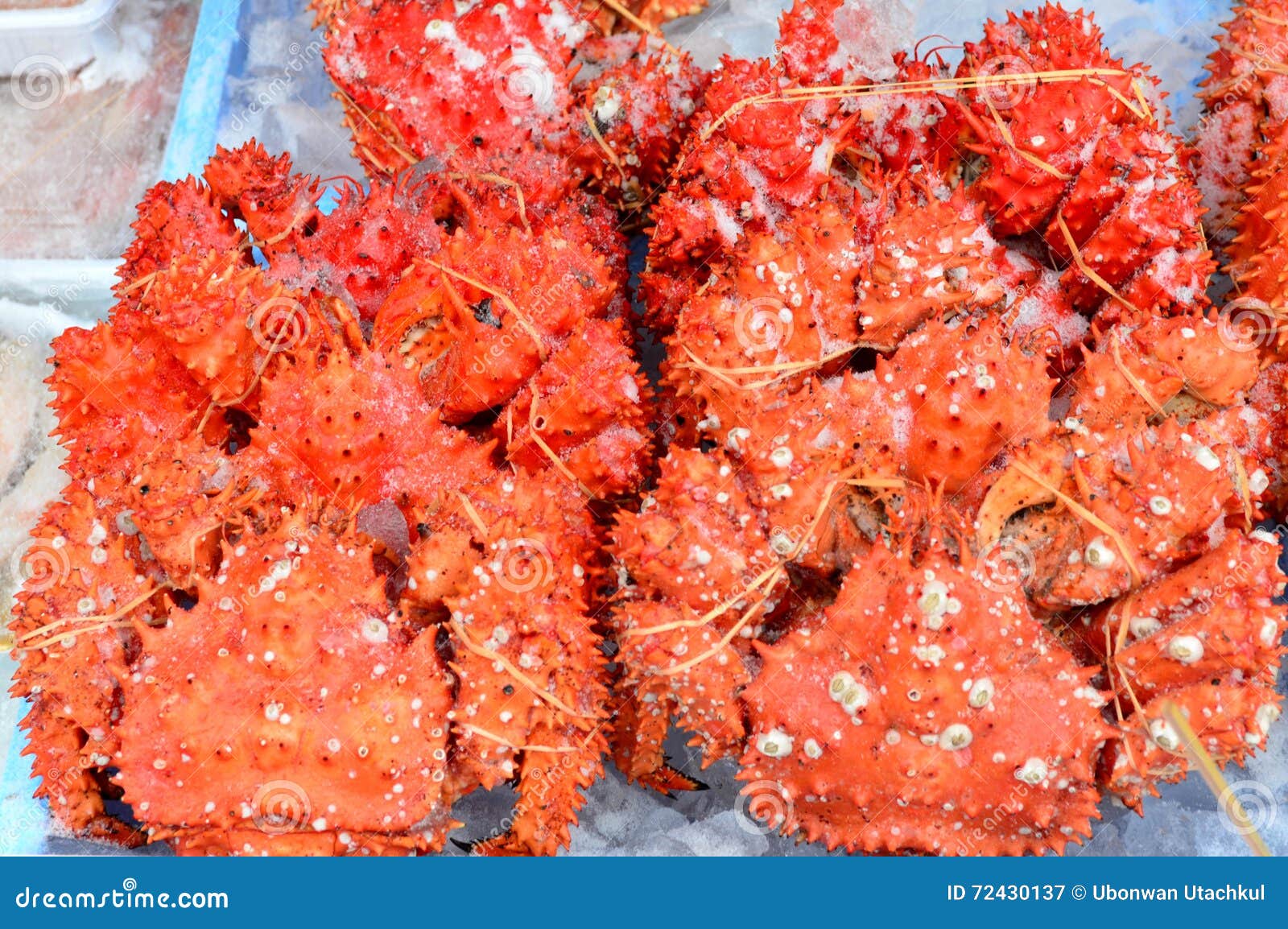 Alaska King Crab, Seafood Buffet Line In Hotel. Stock Image ...