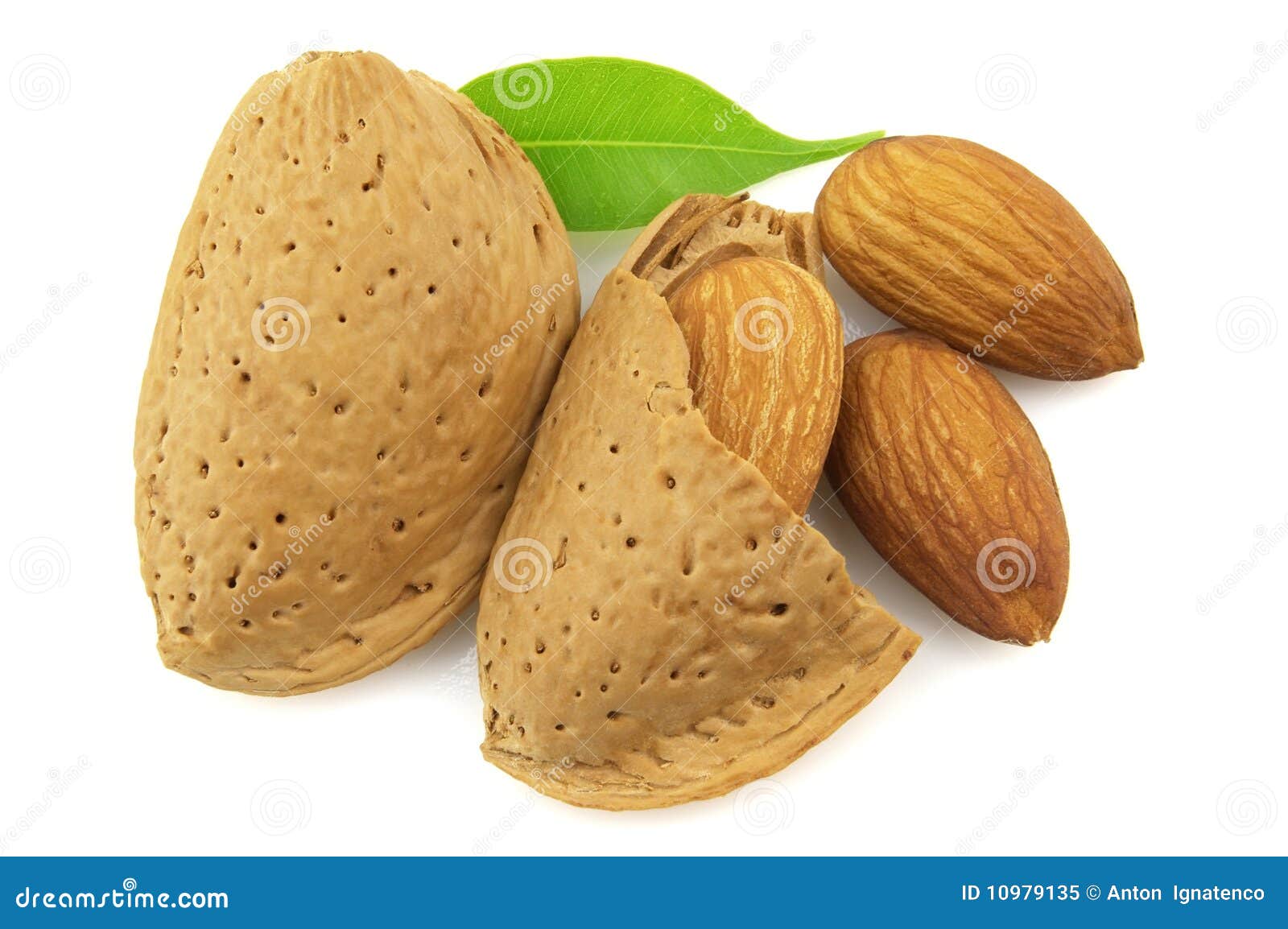 Fresh almond stock image. Image of group, closeup, sweet - 10979135