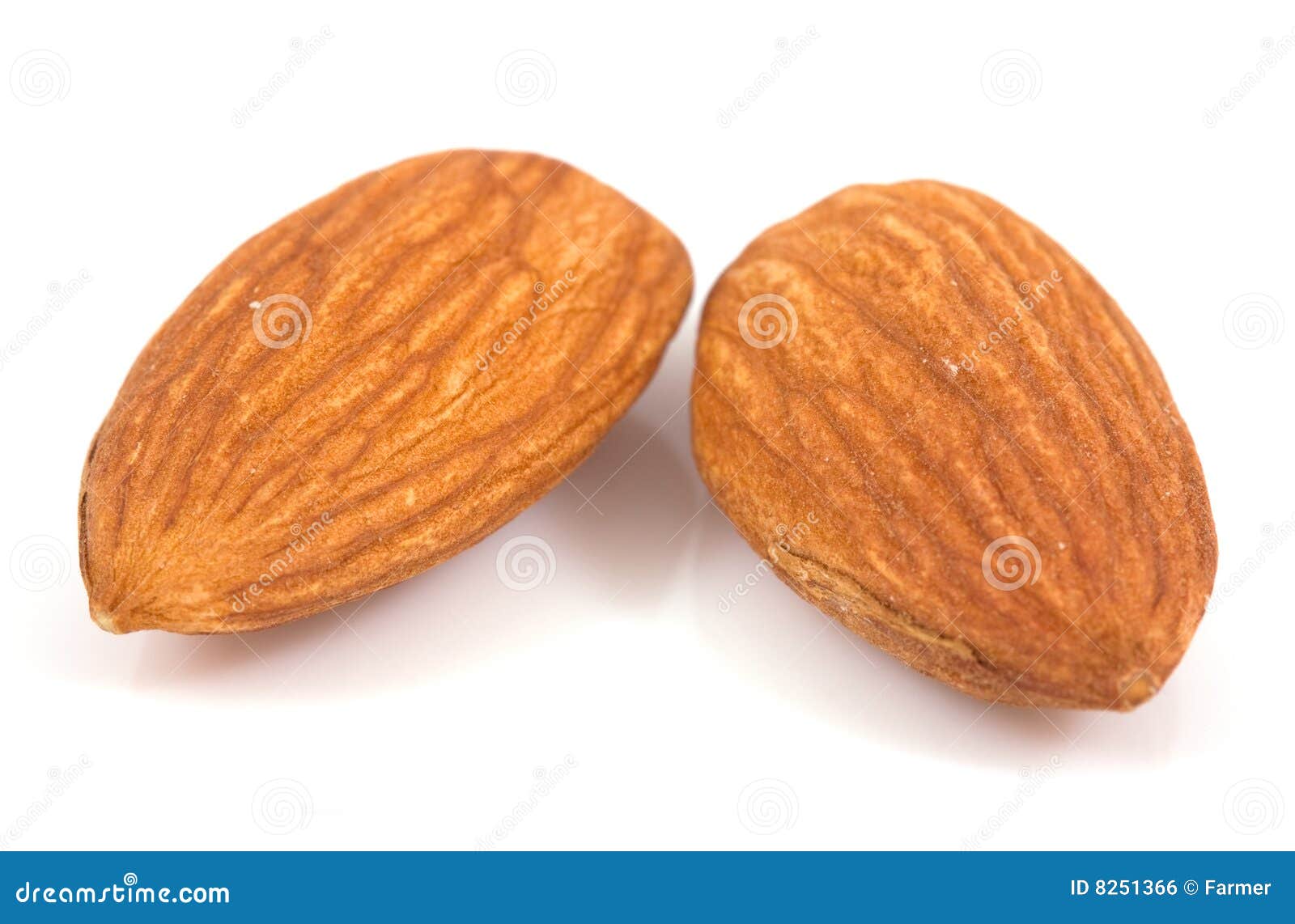 Fresh almond stock photo. Image of nutrition, organic - 8251366