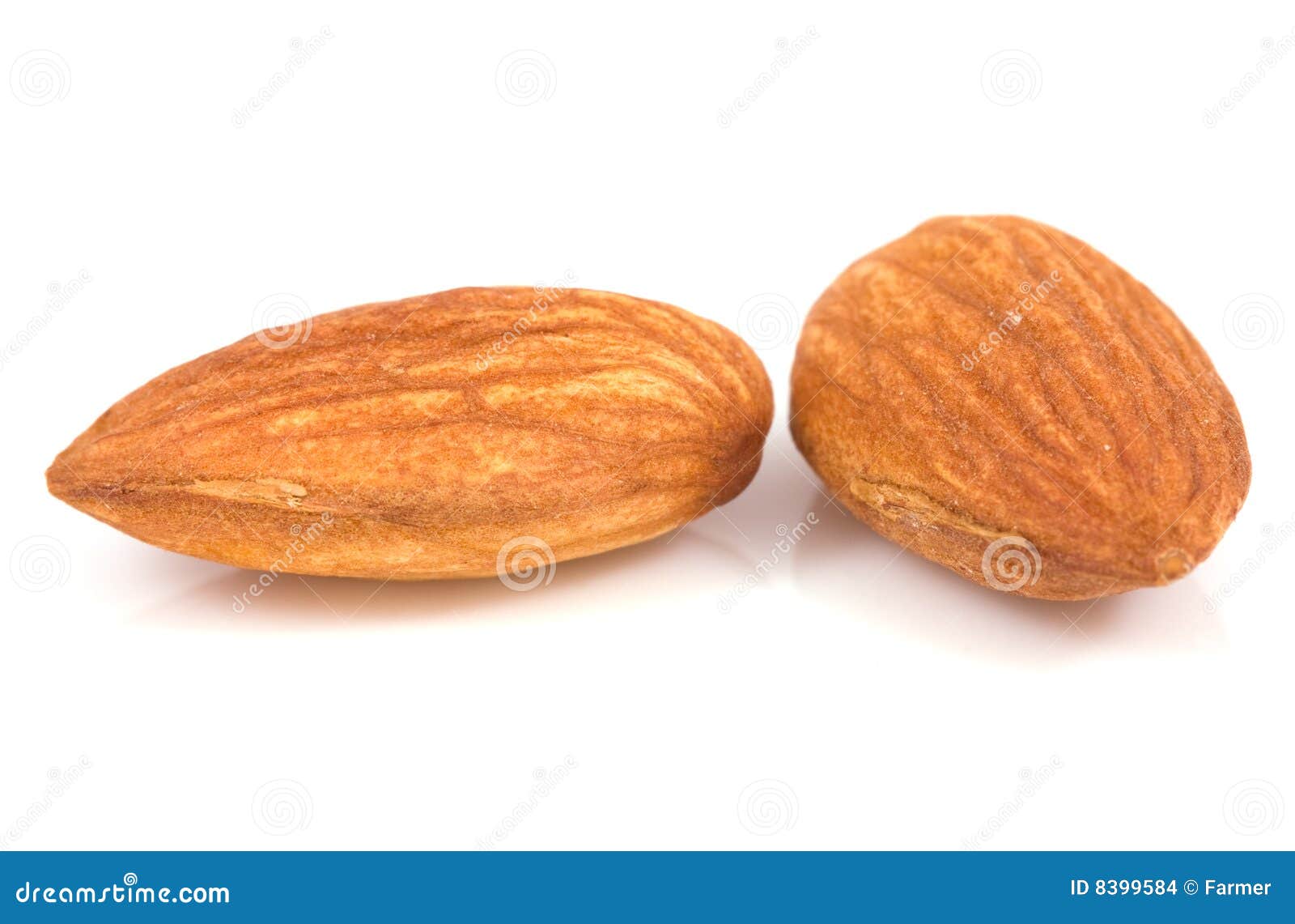 Fresh almond stock photo. Image of small, white, organic - 8399584