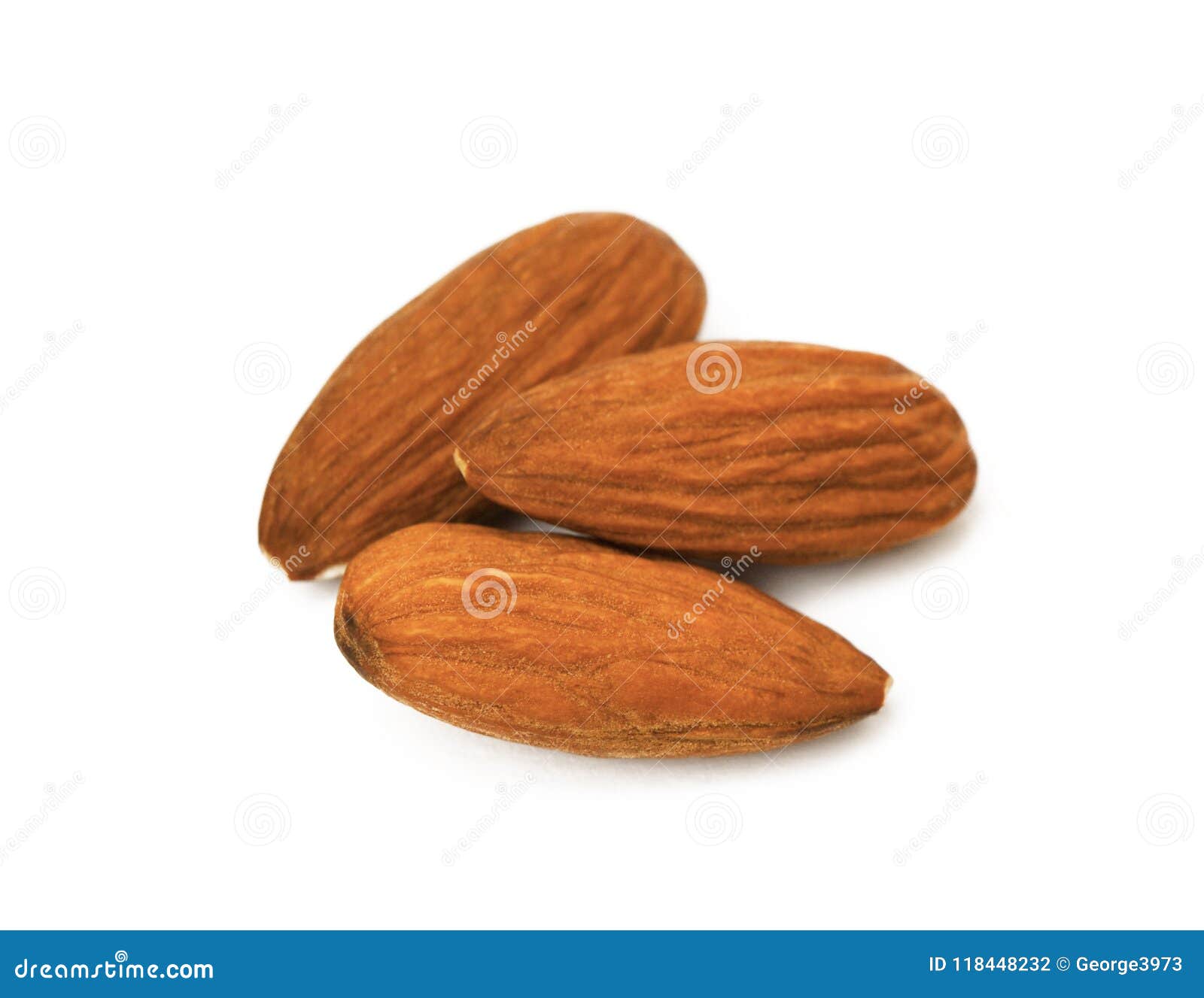 Fresh almond isolated stock photo. Image of eating, food - 118448232