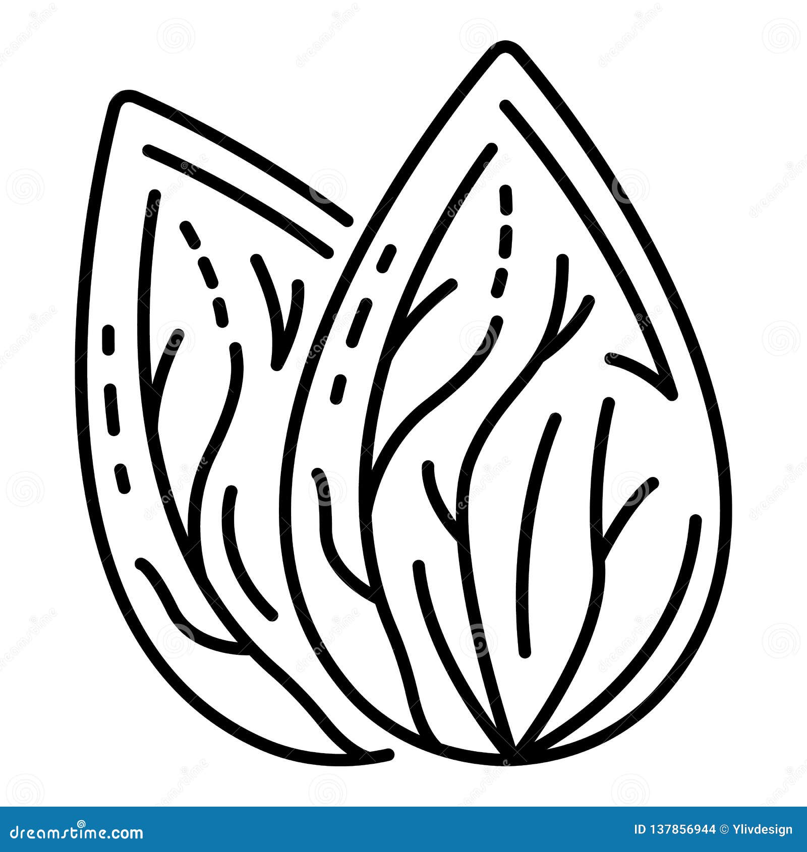 Fresh Almond Nut Icon, Outline Style Stock Vector - Illustration of ... Fresh Almond Nut Icon, Outline Style Stock Vector - Illustration of ...