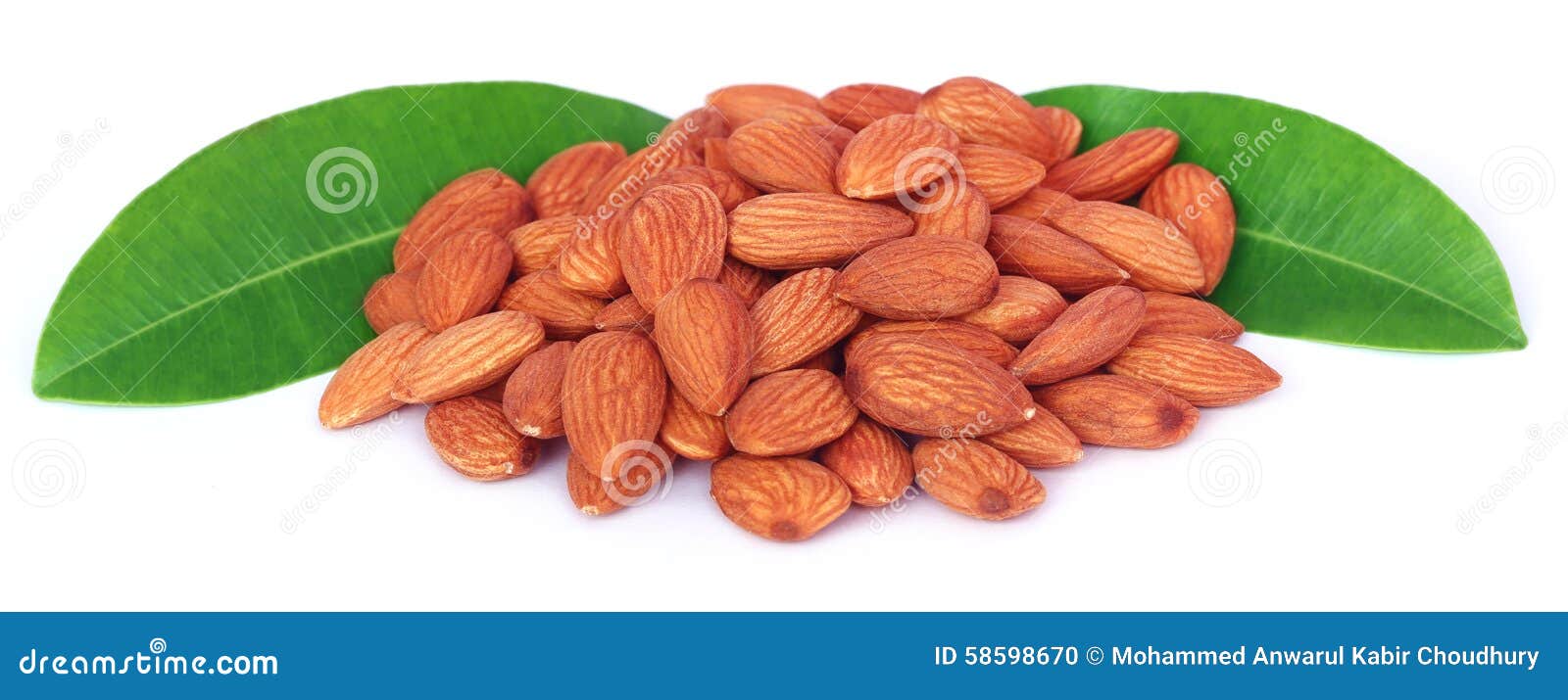 Fresh almonds stock photo. Image of almonds, seed, vegetarian - 58598670
